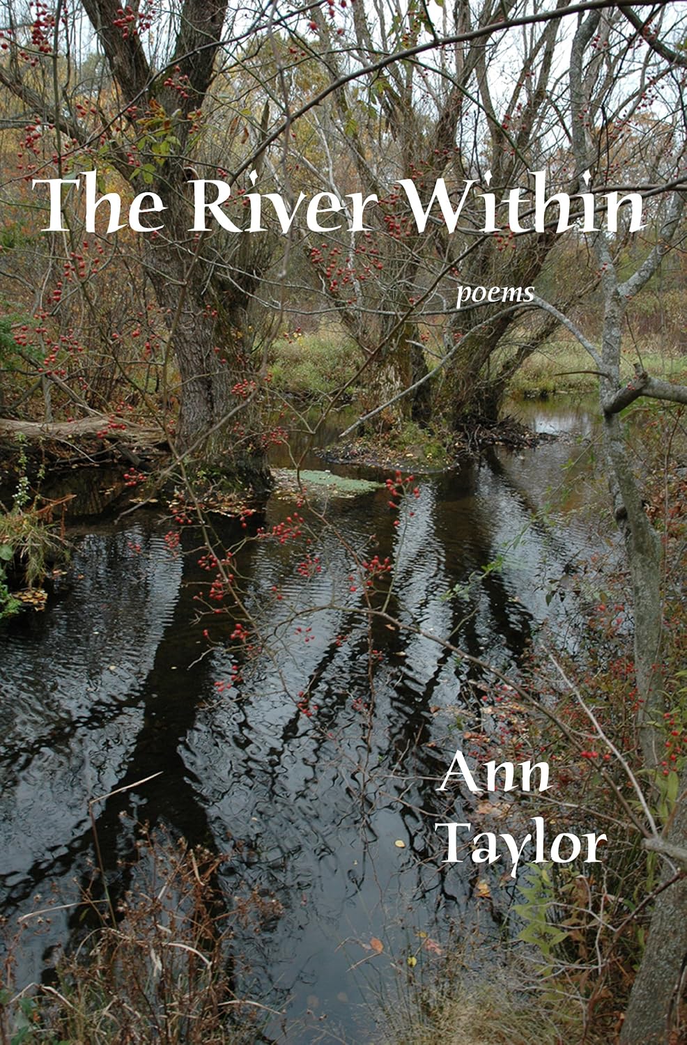 The River Within: Ann Taylor: 9780983598282: Amazon.com: Books