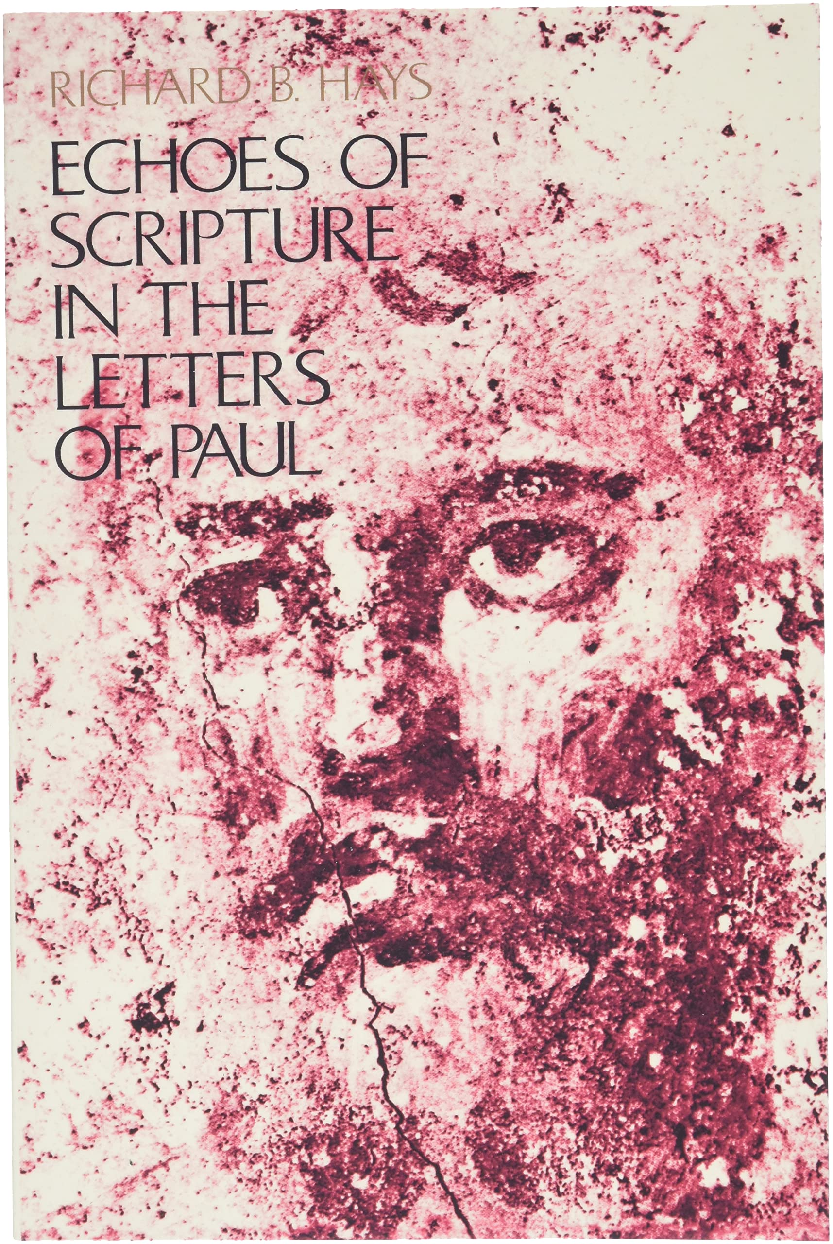 Echoes of Scripture in the Letters of Paul: Hays, Richard B ...