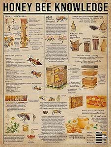 Amazon.com: Honey Bee Canvas Wall Art Honey Bee Knowledge Farmhouse ...