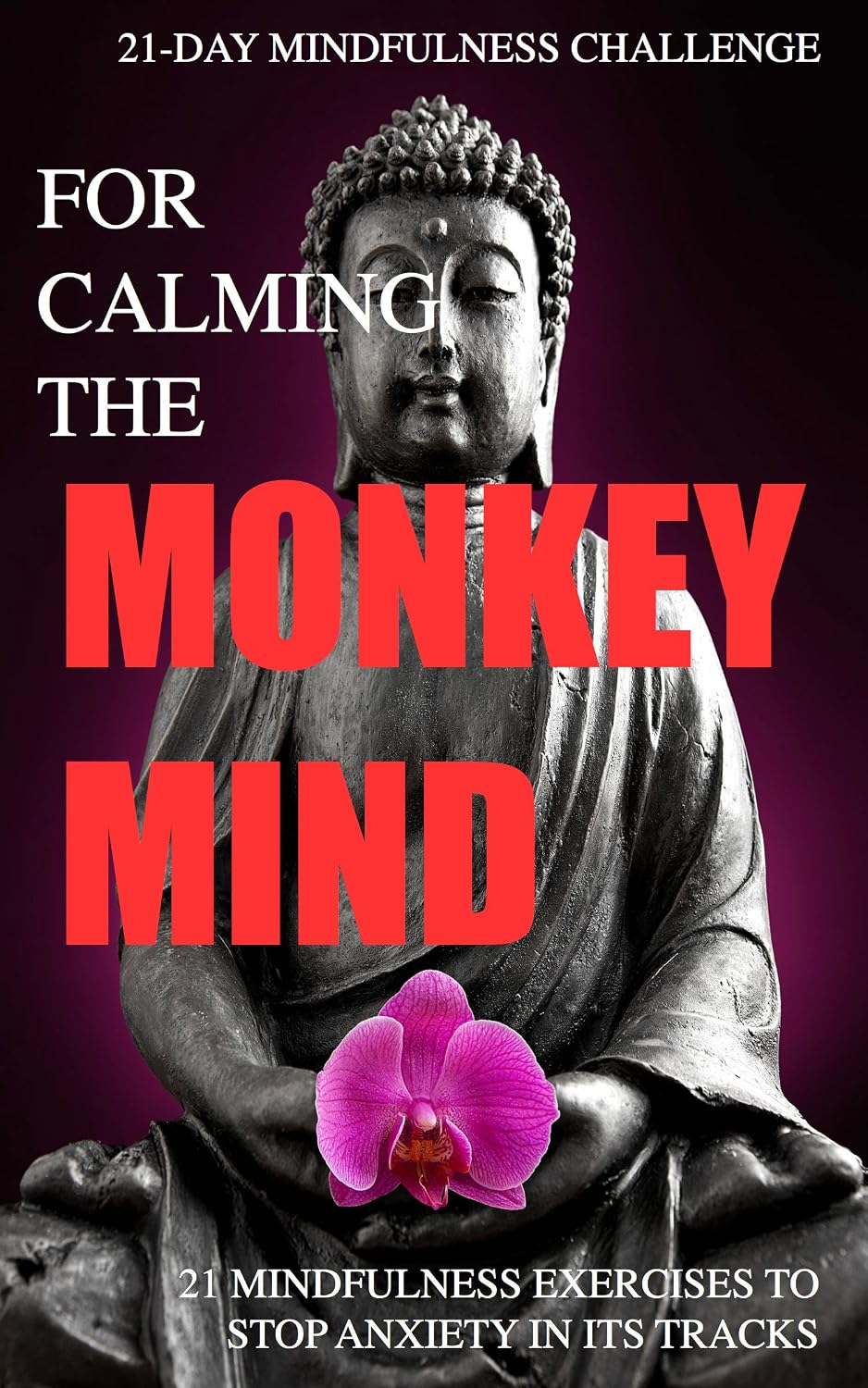 Amazon.com: 21-Day Mindfulness Challenge For Calming The Monkey Mind ...