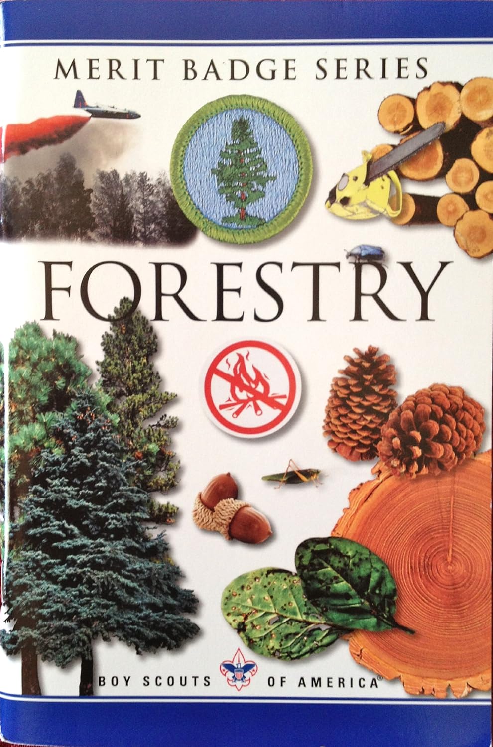 Merit Badge Series Forestry By Boy Scouts of America #35901 (MERIT ...