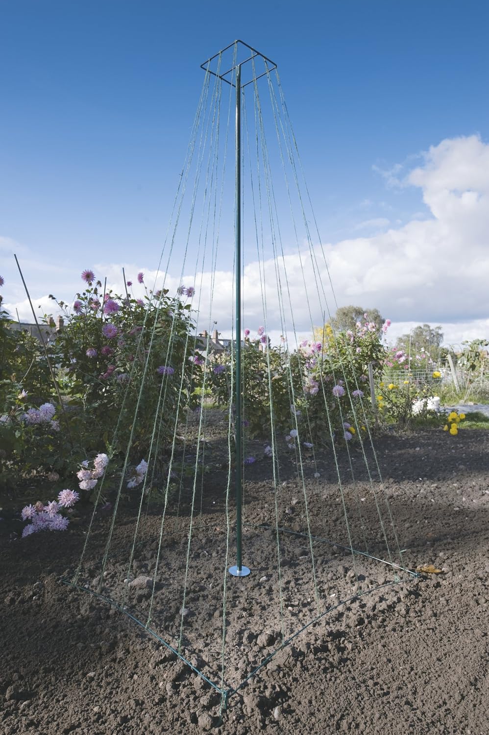 Amazon.com : Weslon Growing Pole : Patio, Lawn & Garden