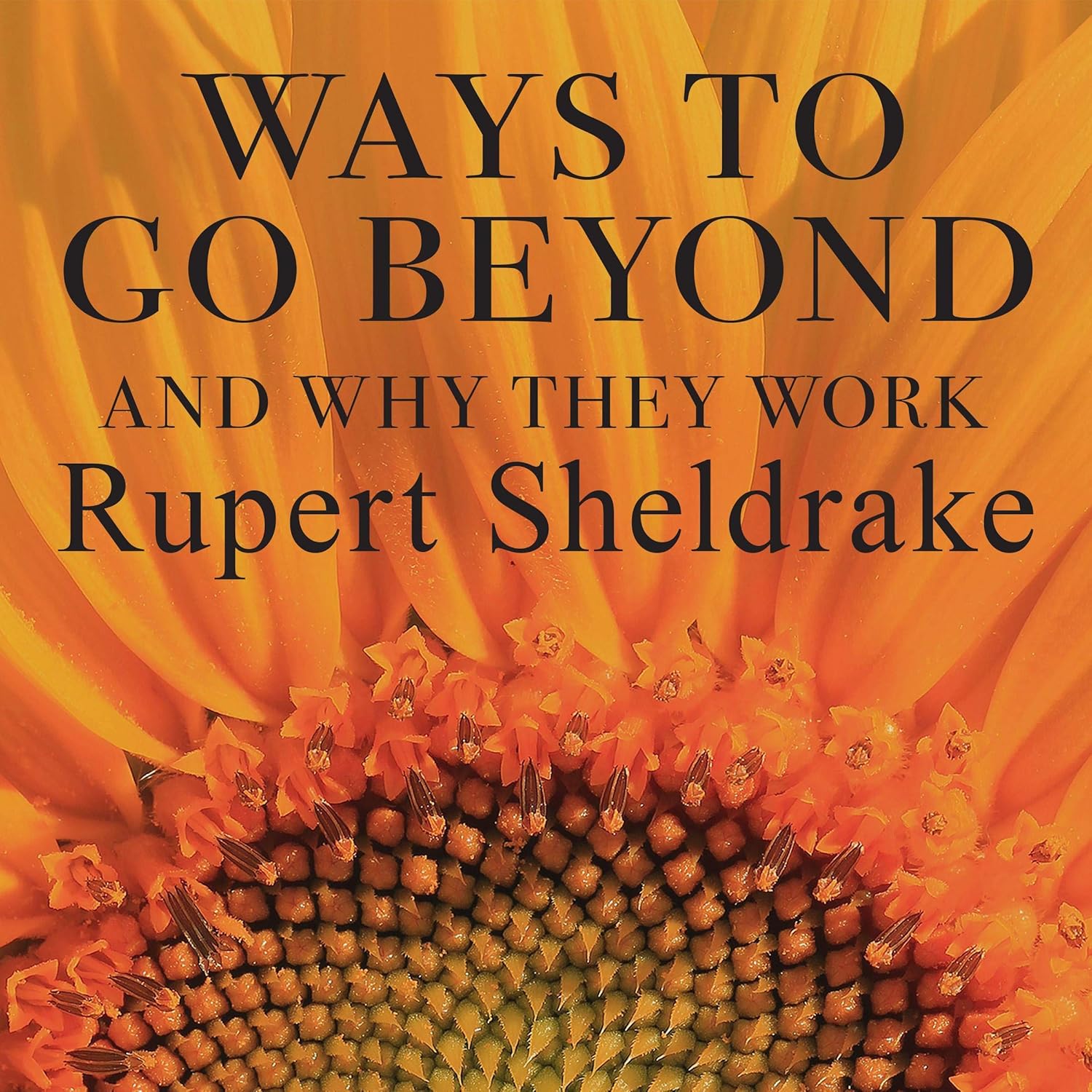 Amazon.com: Ways to Go Beyond and Why They Work: Seven Spiritual ...