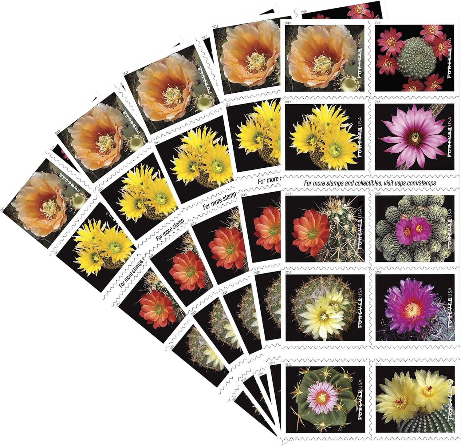 Amazon.com: Cactus Flowers 5 Books of 20 Forever First Class USPS ...