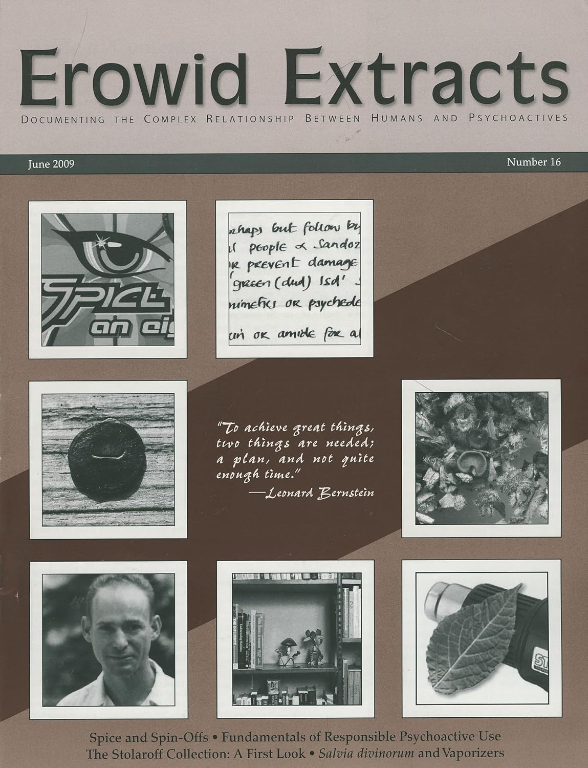 Erowid Extracts (June 2009) Salvia Divinorum and Vaporizers; a Trip ...