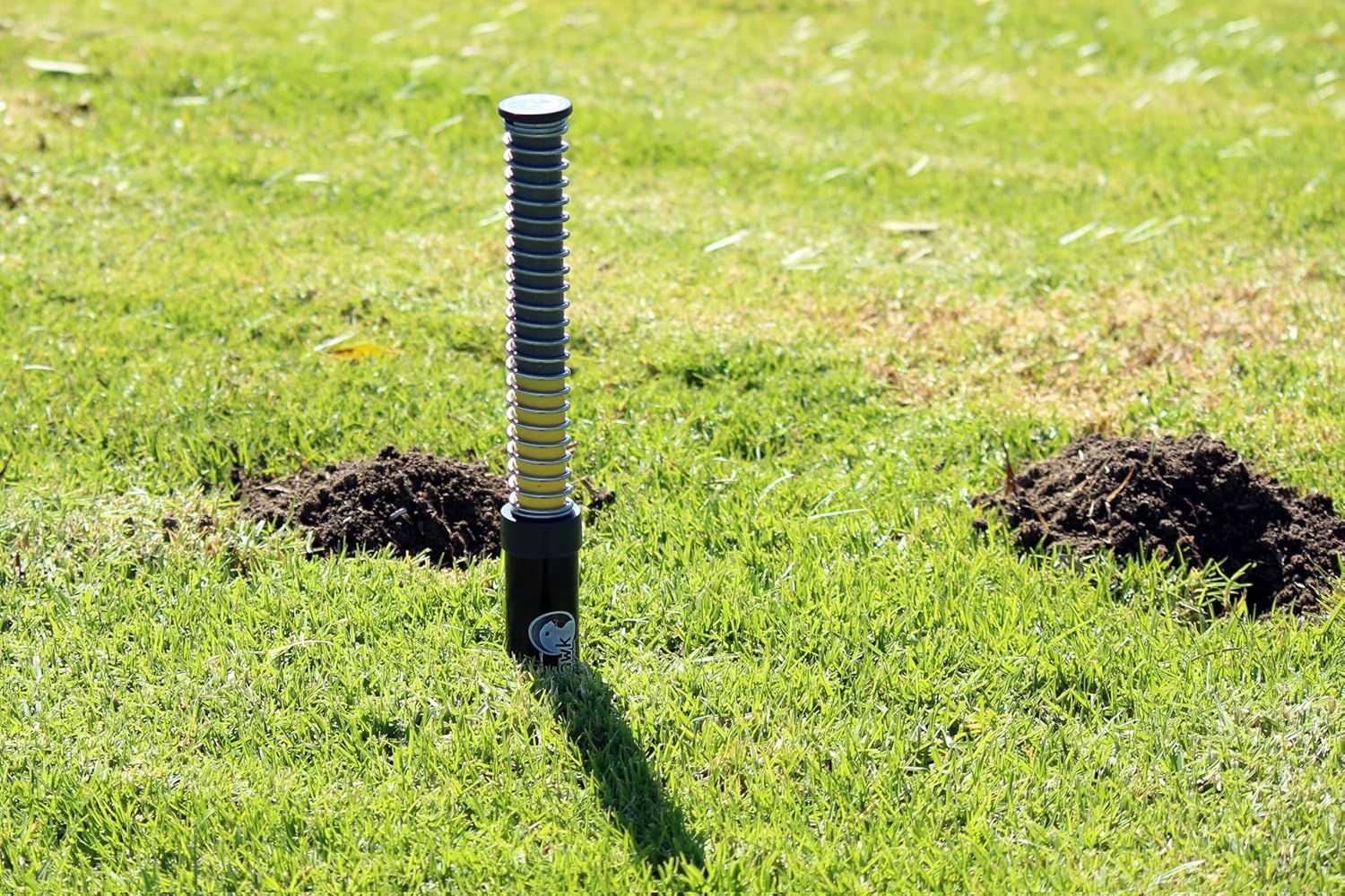 Top Breeds For Gopher Hunting: Finding The Perfect Canine Companion | Riosc