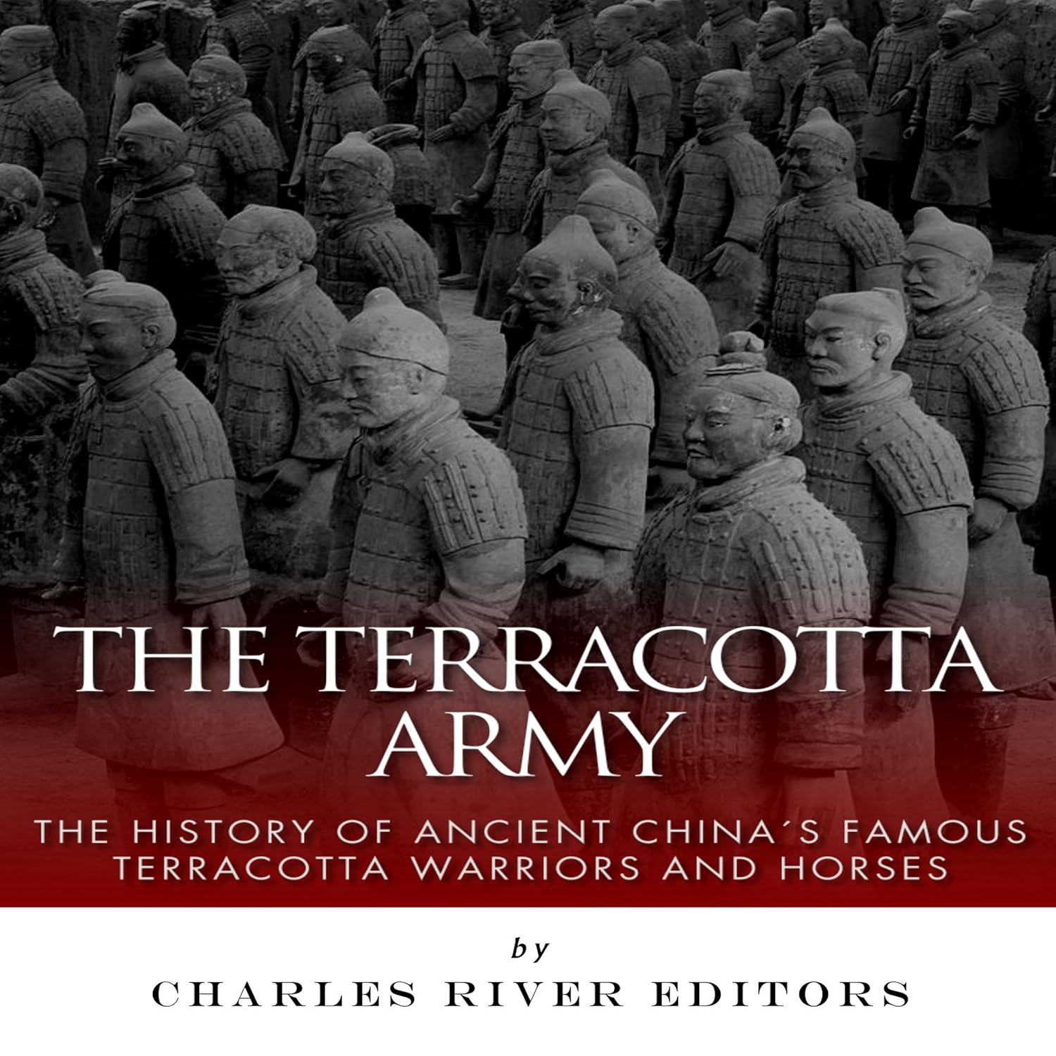 Amazon.com: The Terracotta Army: The History of Ancient China's Famous ...
