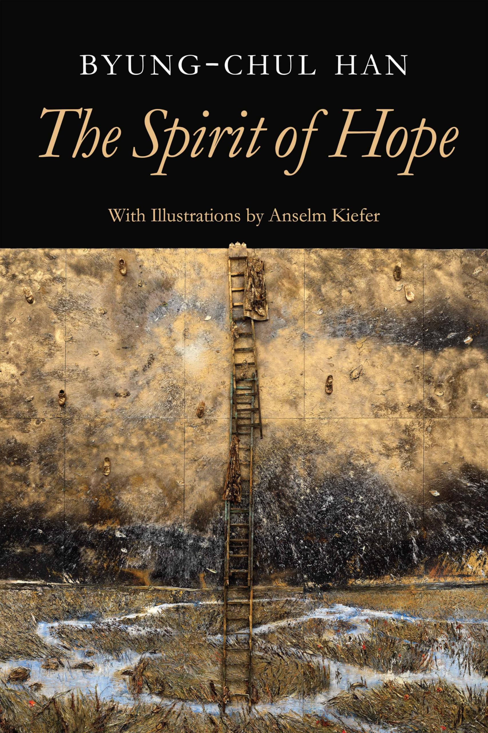 Amazon.com: The Spirit of Hope: 9781509565191: Han, Byung-Chul, Steuer ...