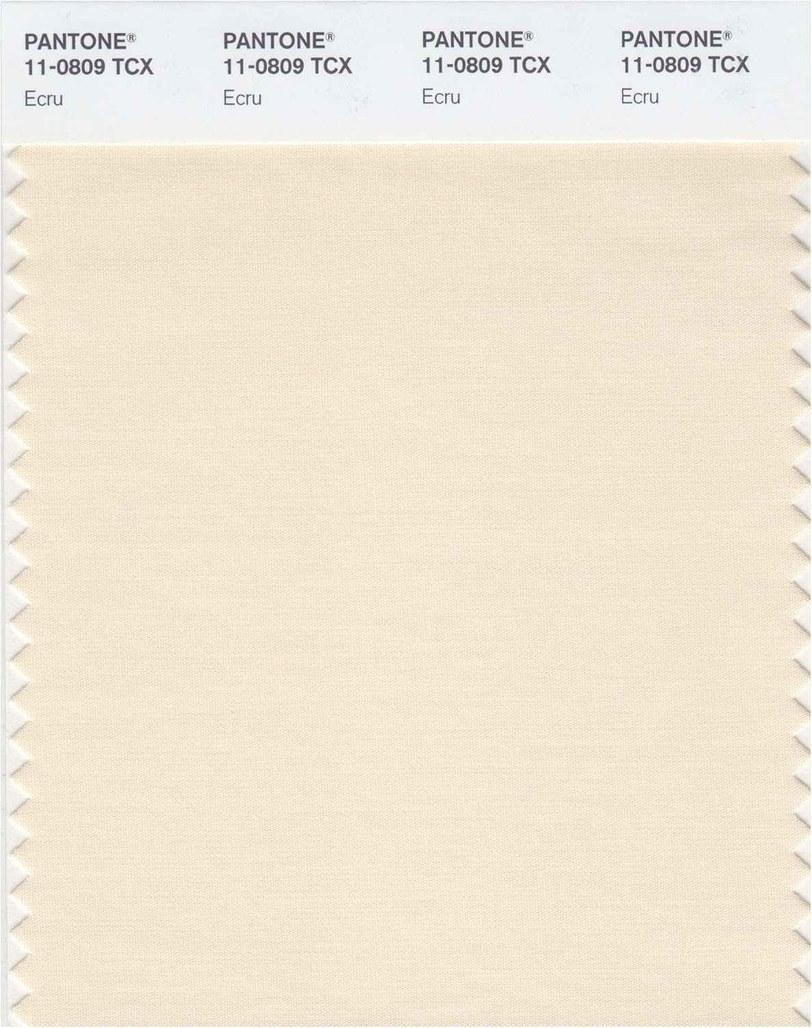PANTONE Smart 11-0809X Color Swatch Card, Ecru - House Paint - Amazon.com