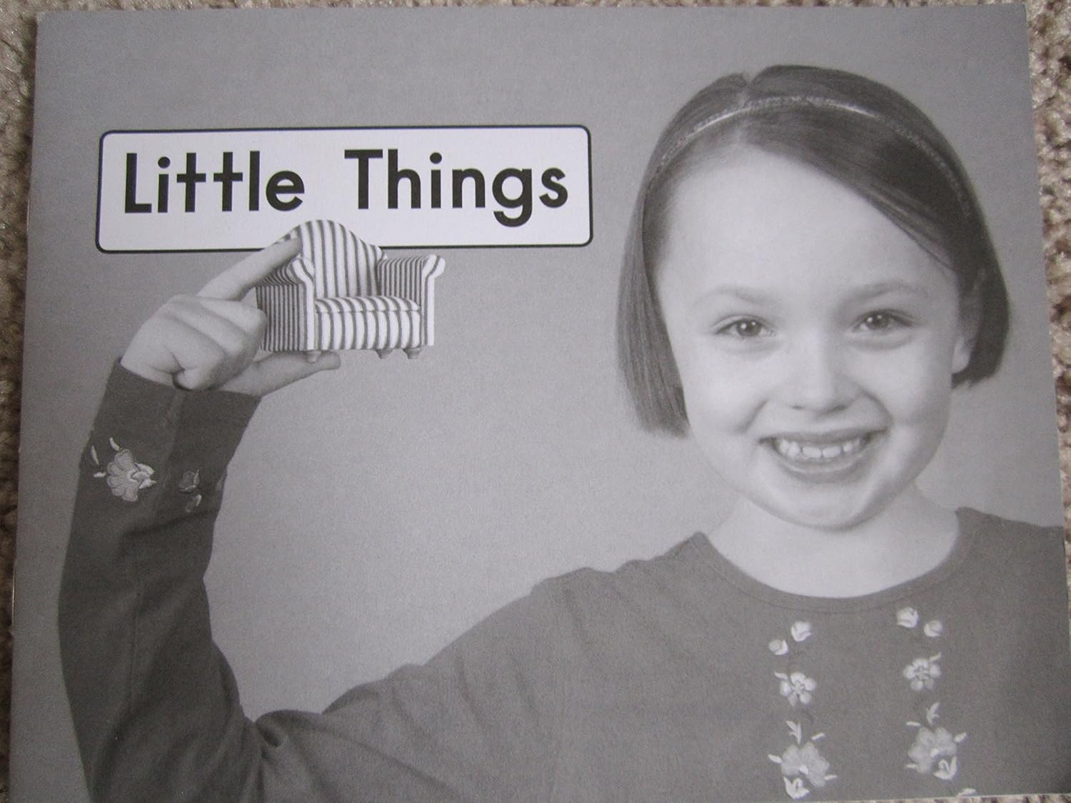 Little Things (Fountas and Pinnell Leveled Literacy Intervention Books ...