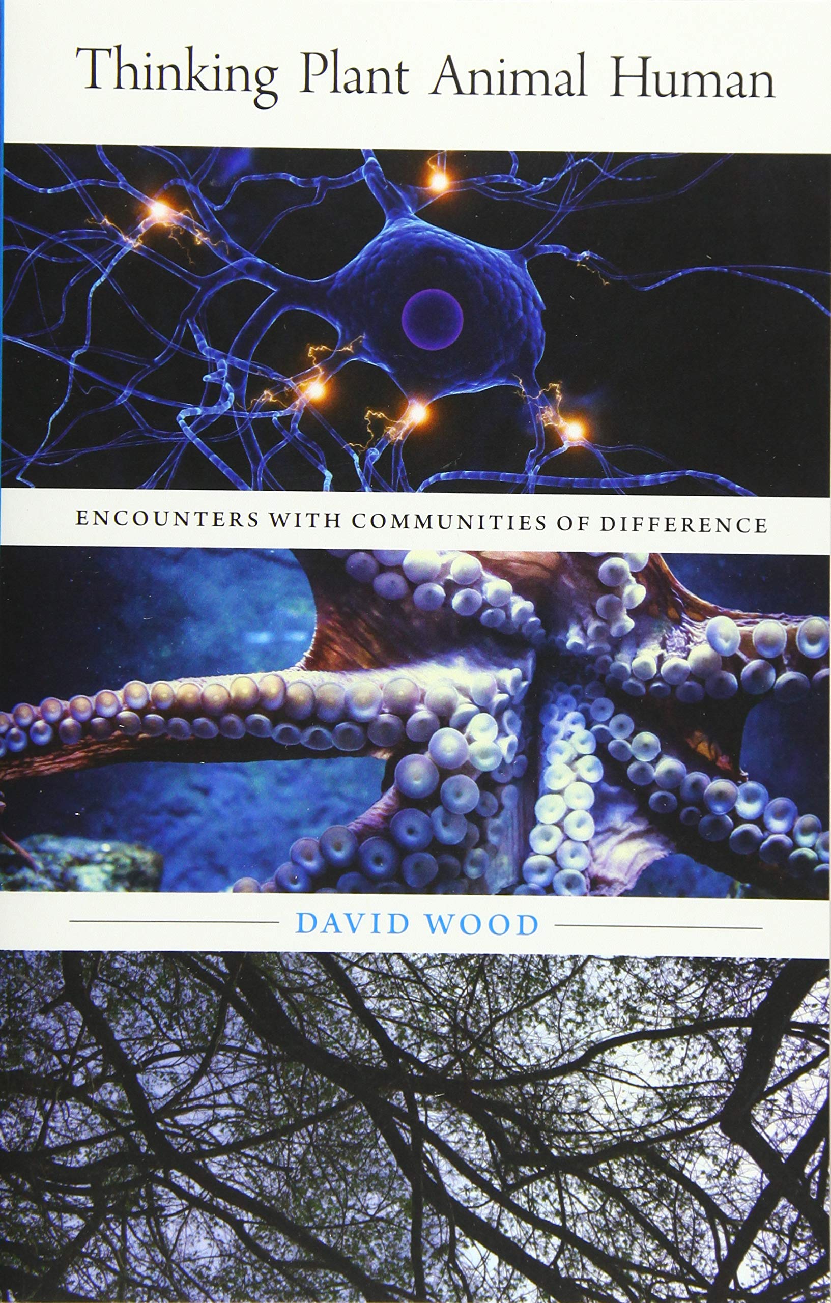 Thinking Plant Animal Human: Encounters with Communities of Difference ...
