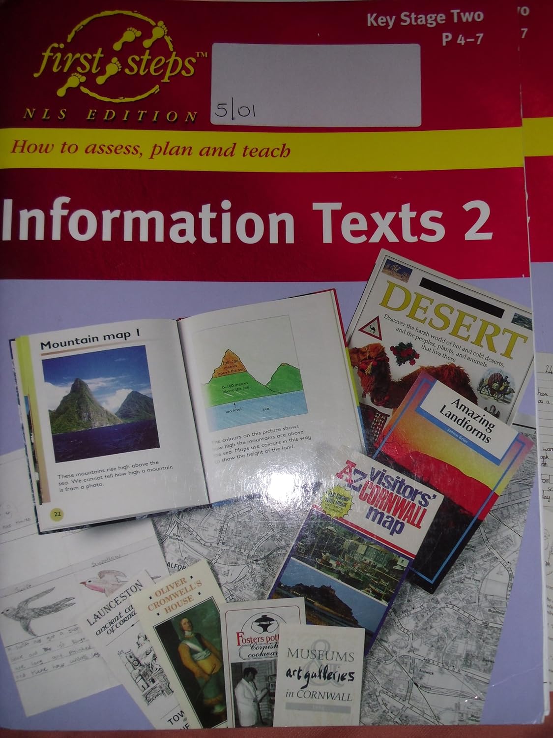 First Steps: NLS Edition: Information Texts - KS2 (First Steps ...