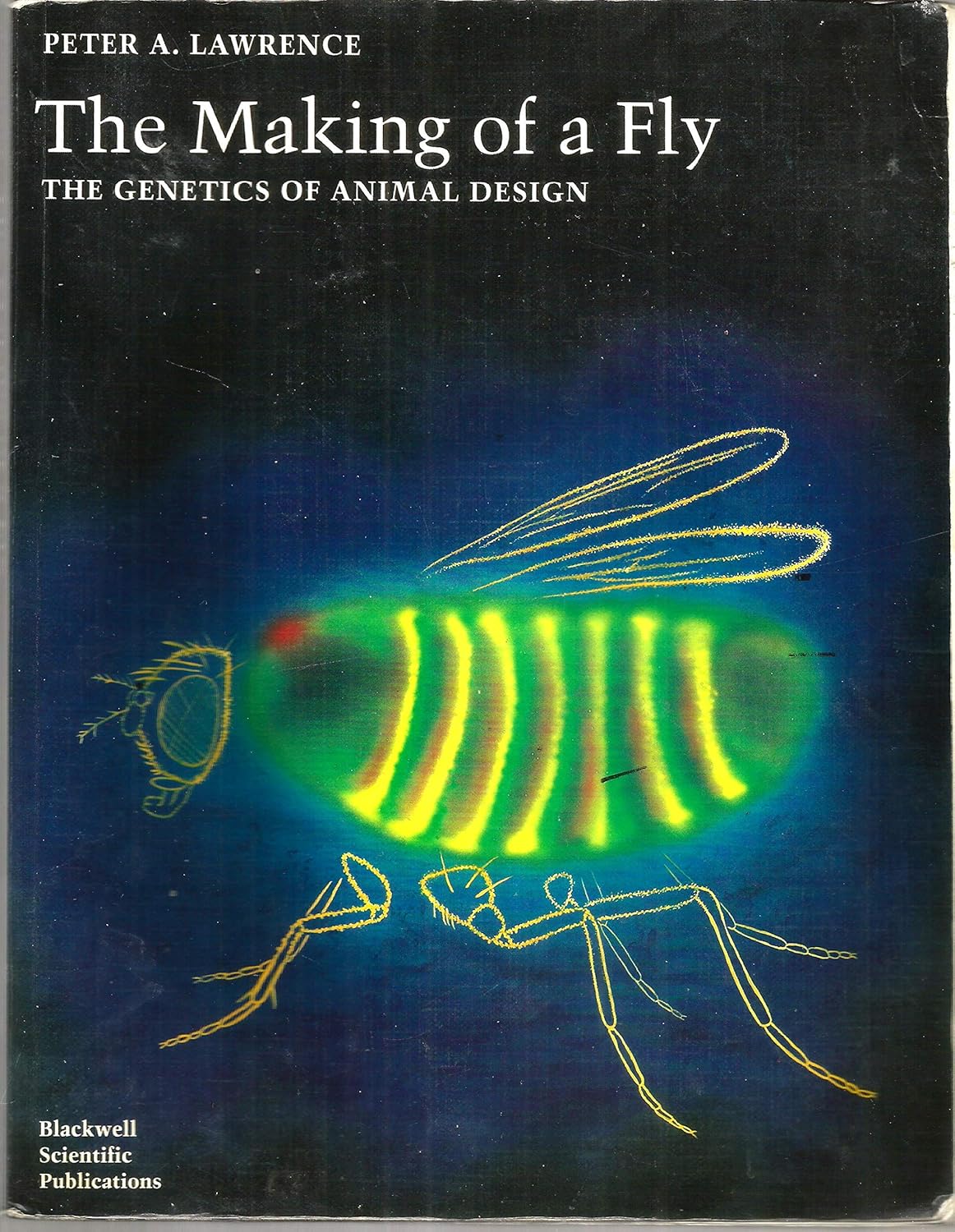 Amazon.com: The Making of a Fly: The Genetics of Animal Design ...