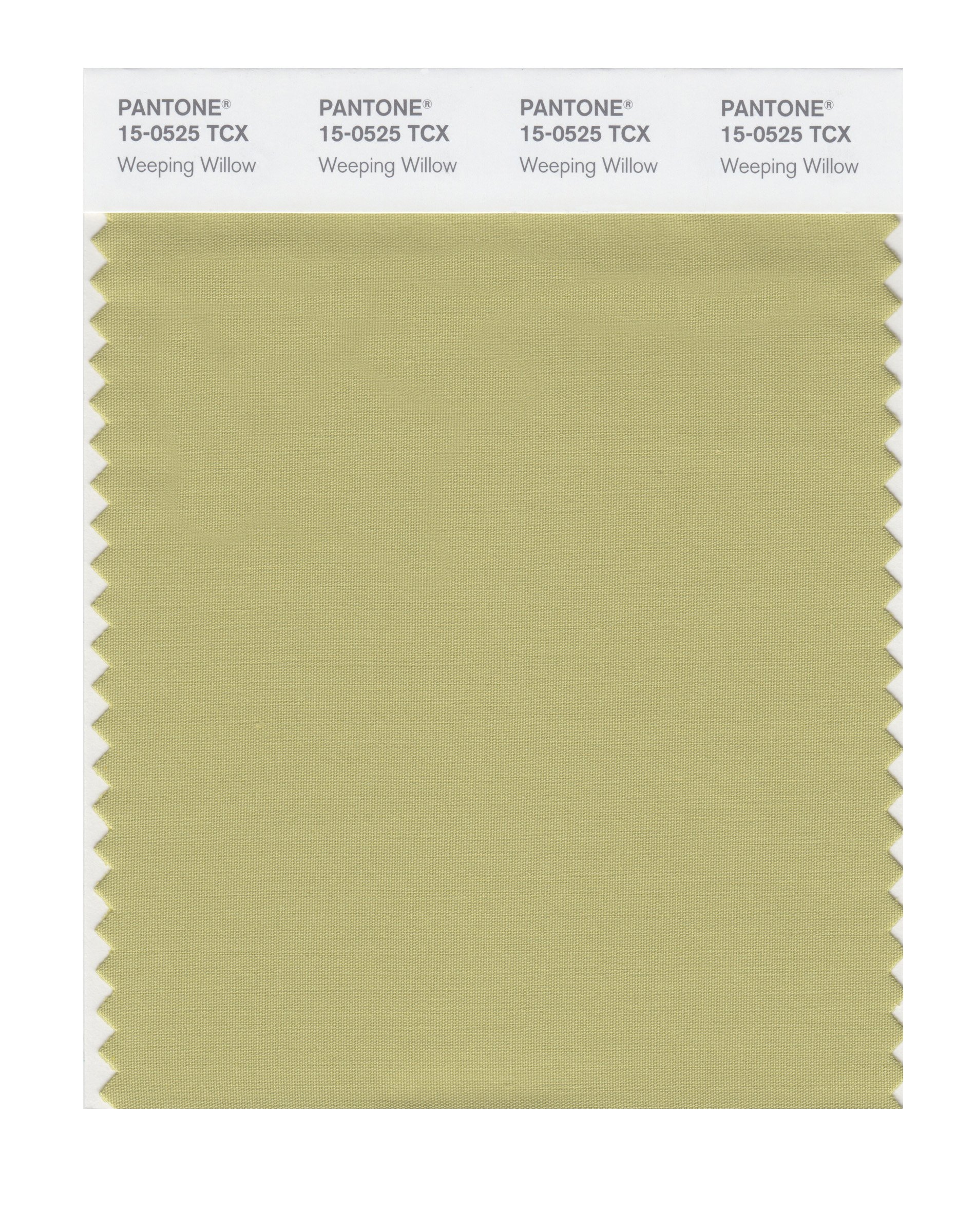 Buy PANTONE SMART 15 0525X Color Swatch Card Weeping Willow Online At