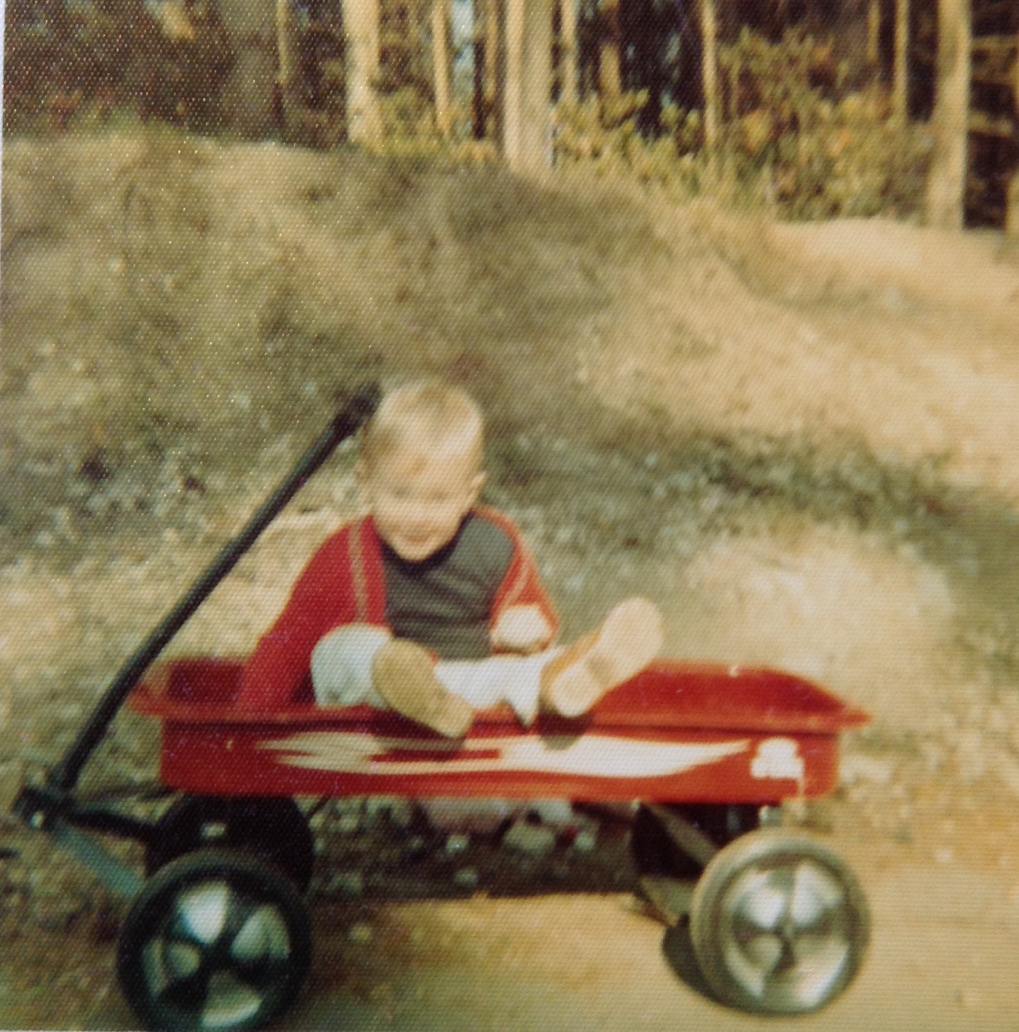 Amazon.com: Thomas Hicks: books, biography, latest update