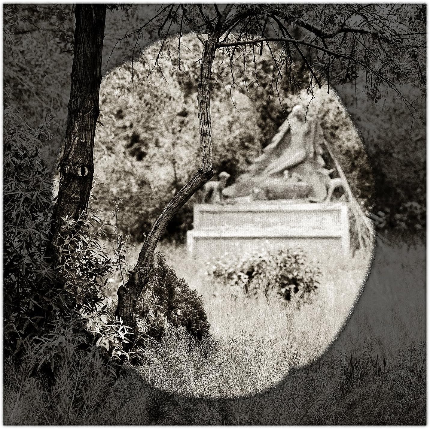Amazon.com: Backyard Shadows Art Print by Harold Silverman: Posters ...