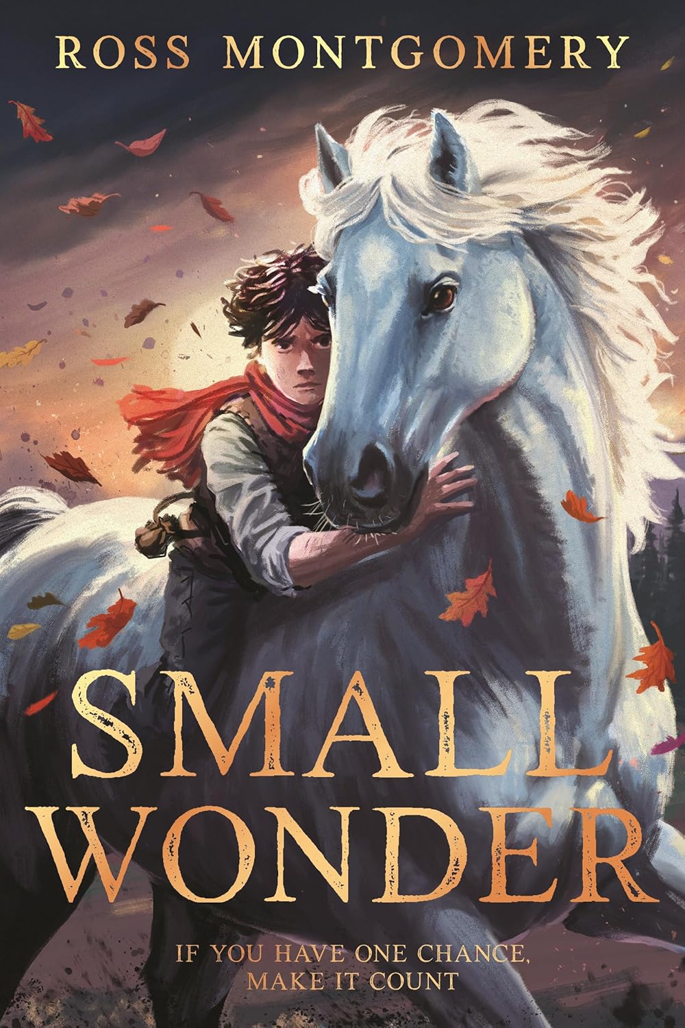 Small Wonder: Montgomery, Ross: 9781536252460: Amazon.com: Books
