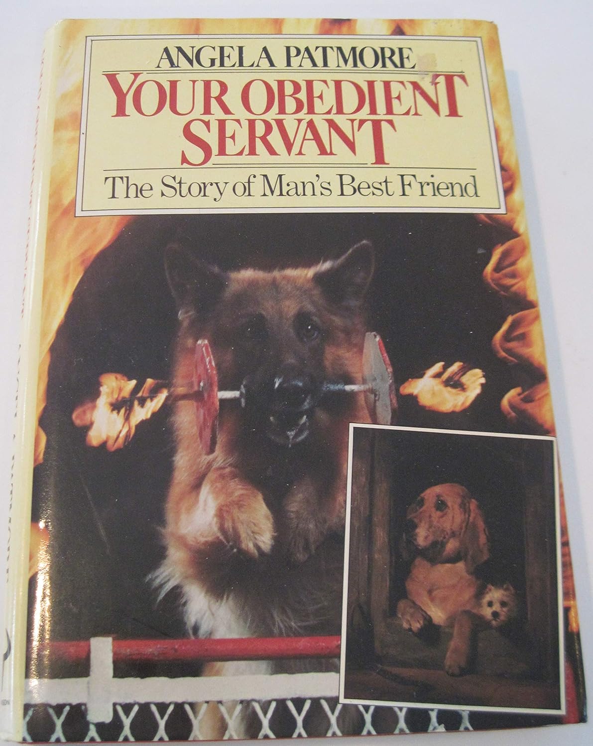 Your Obedient Servant: The Story of Man's Best Friend: Angela Patmore ...
