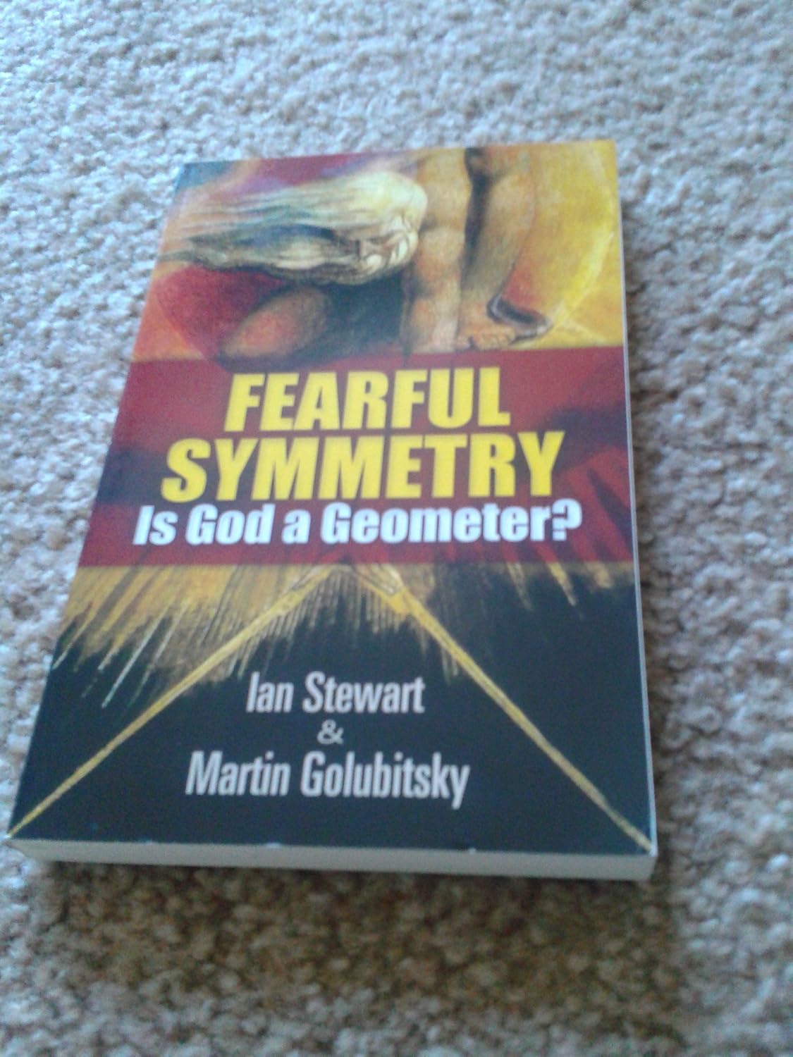 Fearful Symmetry: Is God a Geometer?: Stewart, Ian, Golubitsky, Martin ...
