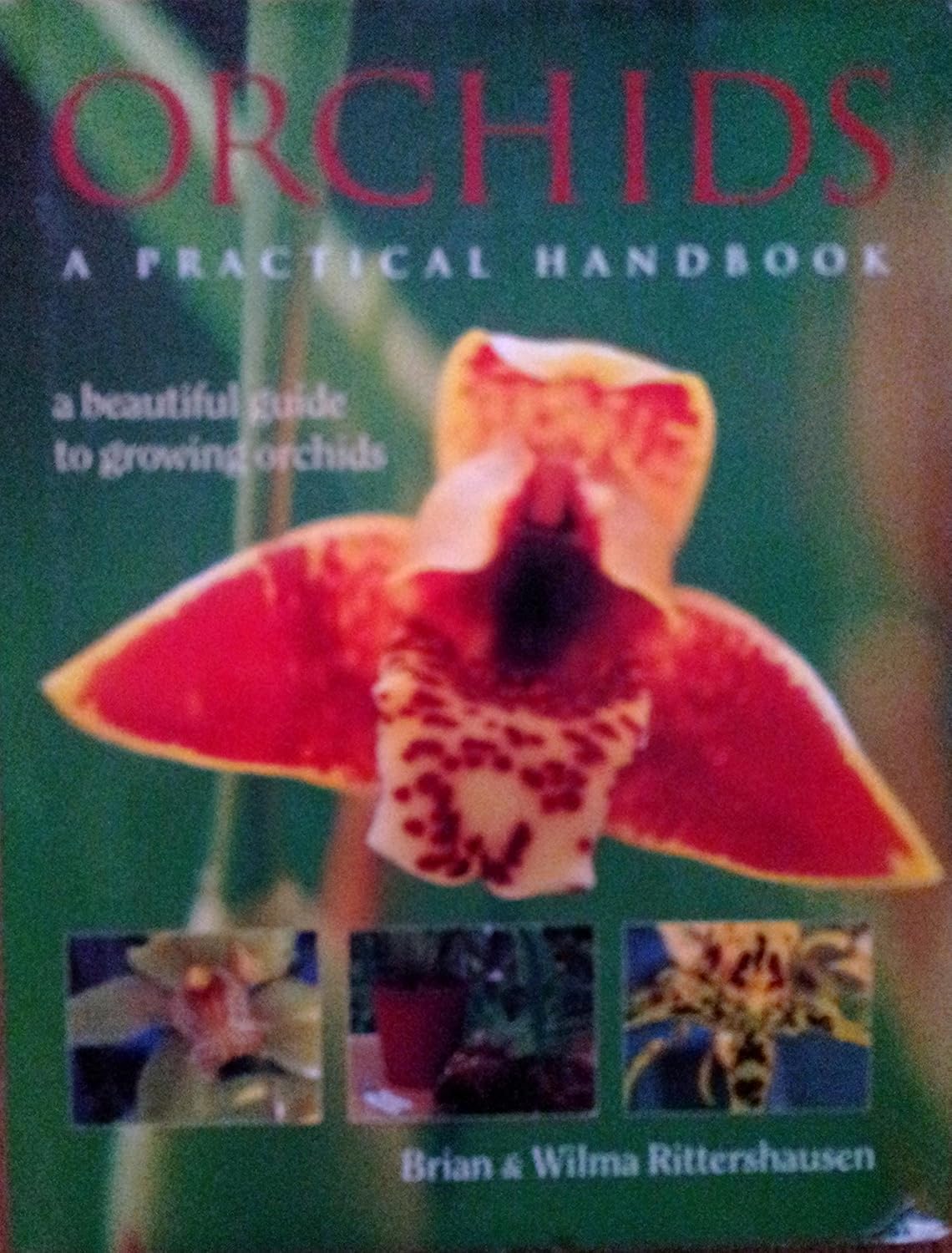 Orchids: a Practical Handbook: A Beautiful Guide to Growing Orchids ...
