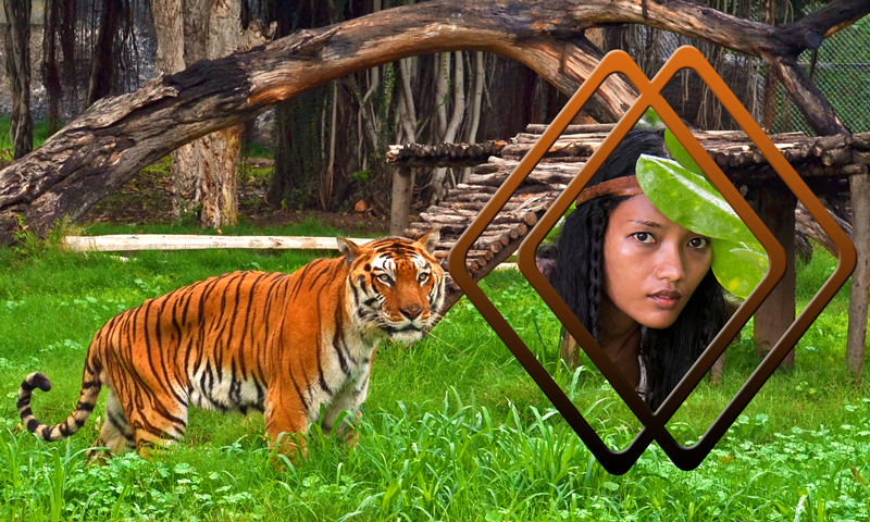 Tiger Photo Frames:Amazon.com:Appstore for Android