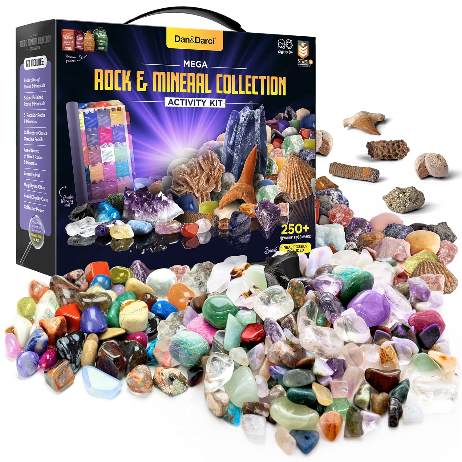 Buy Dan&Darci Rock,Fossil&Mineral Collection&Activity Kit. Includes 250 ...