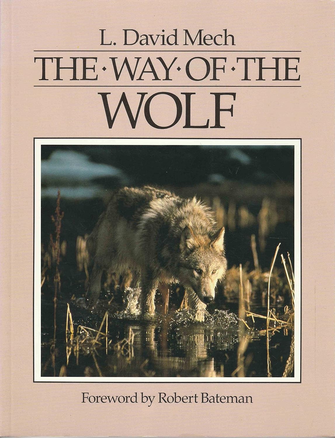 THE WAY OF THE WOLF.: Mech, L., Color Photos: 9780896581791: Amazon.com ...