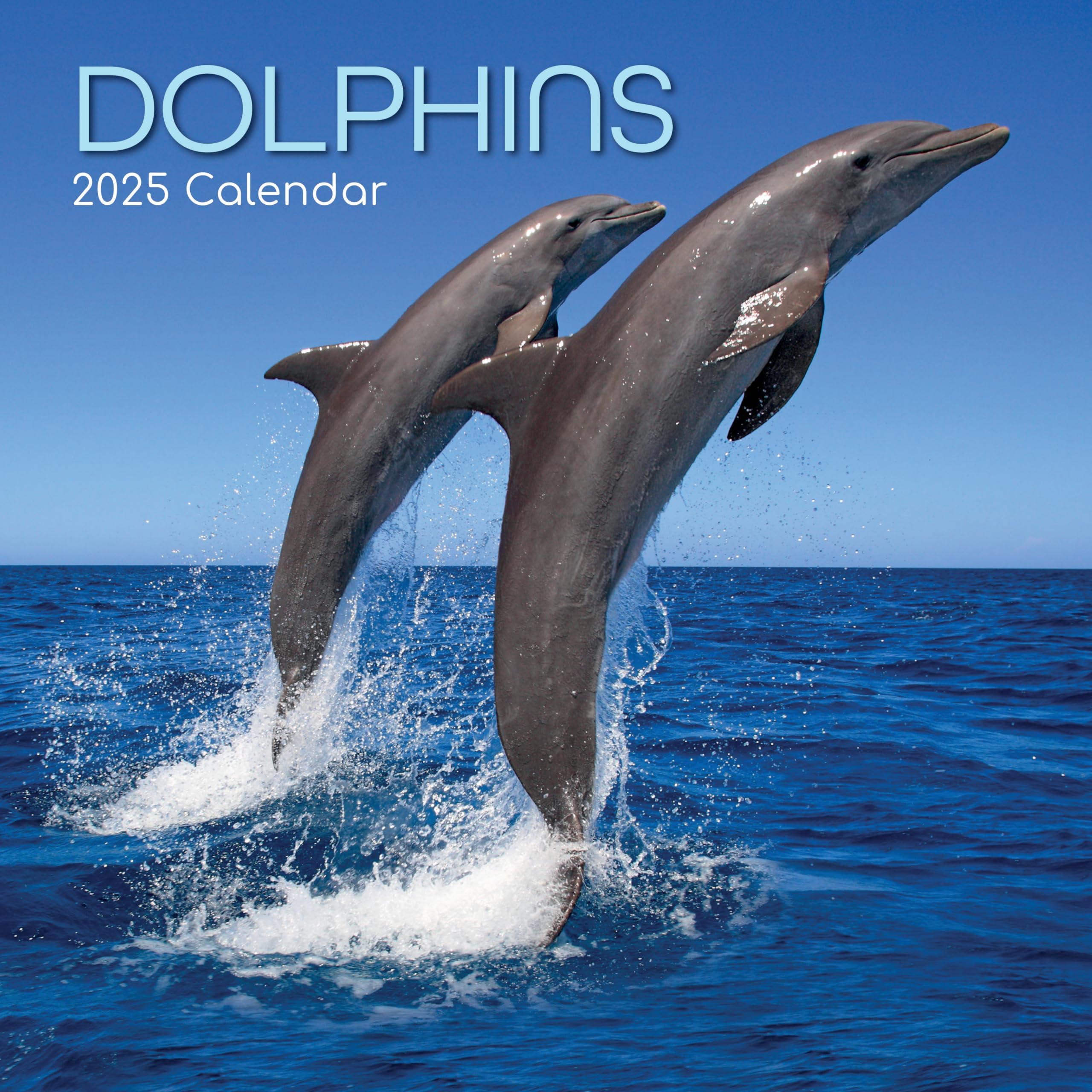 TGSC | Dolphins 2025 Calendar 16 Month (Sept 2024-Dec 2025) Family ...