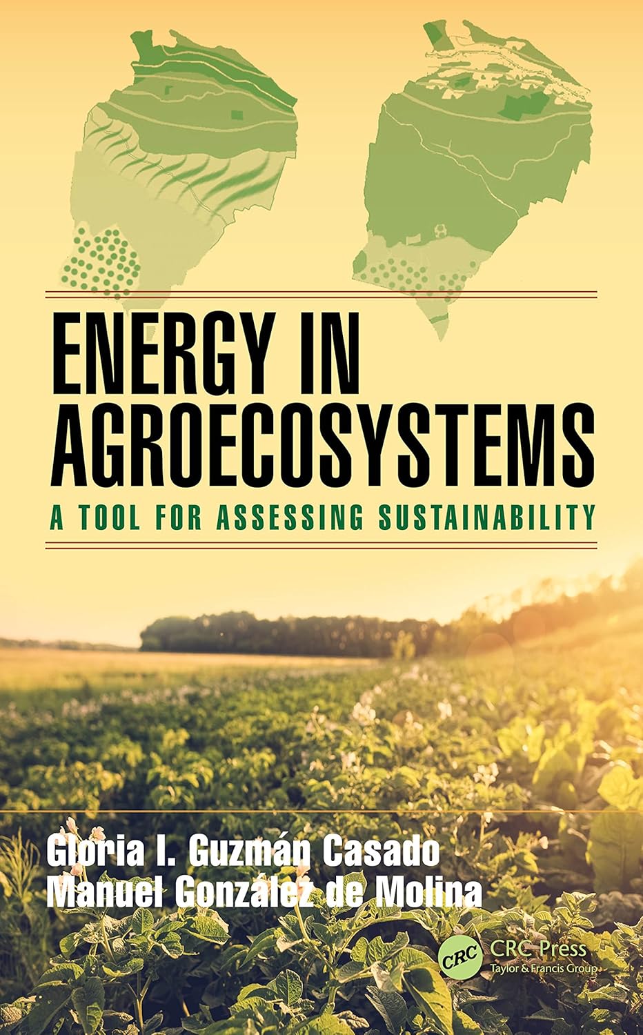 Energy in Agroecosystems: A Tool for Assessing Sustainability (Advances ...