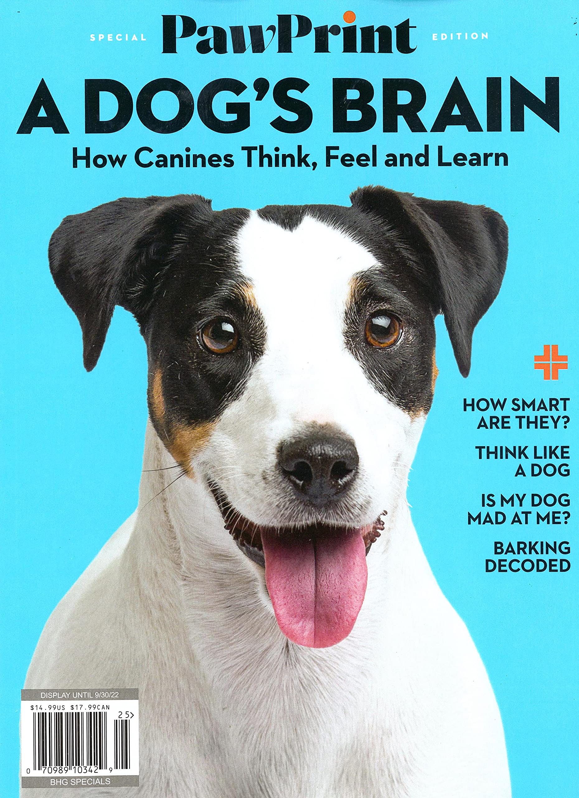 PAW PRINT MAGAZINE - SPECIAL EDITION 2022 - A DOG'S BRAIN: Amazon.com ...