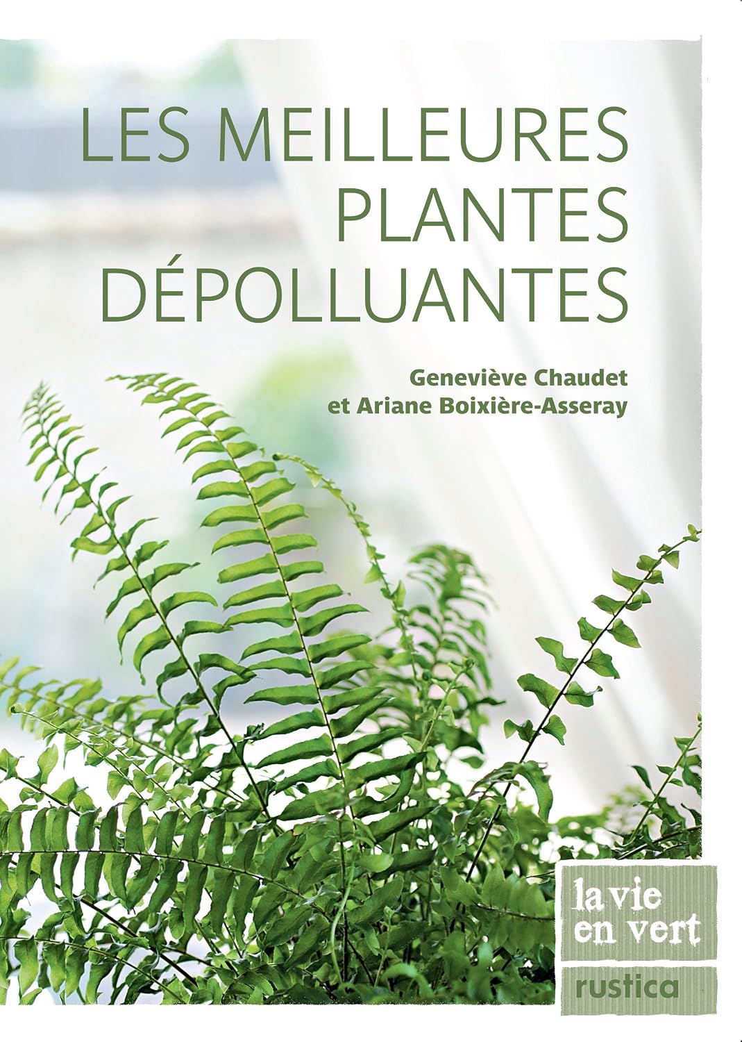 Amazon.fr - MEILLEURES PLANTES DEPOLLUANTES (LES) - Boixière-Asseray ...