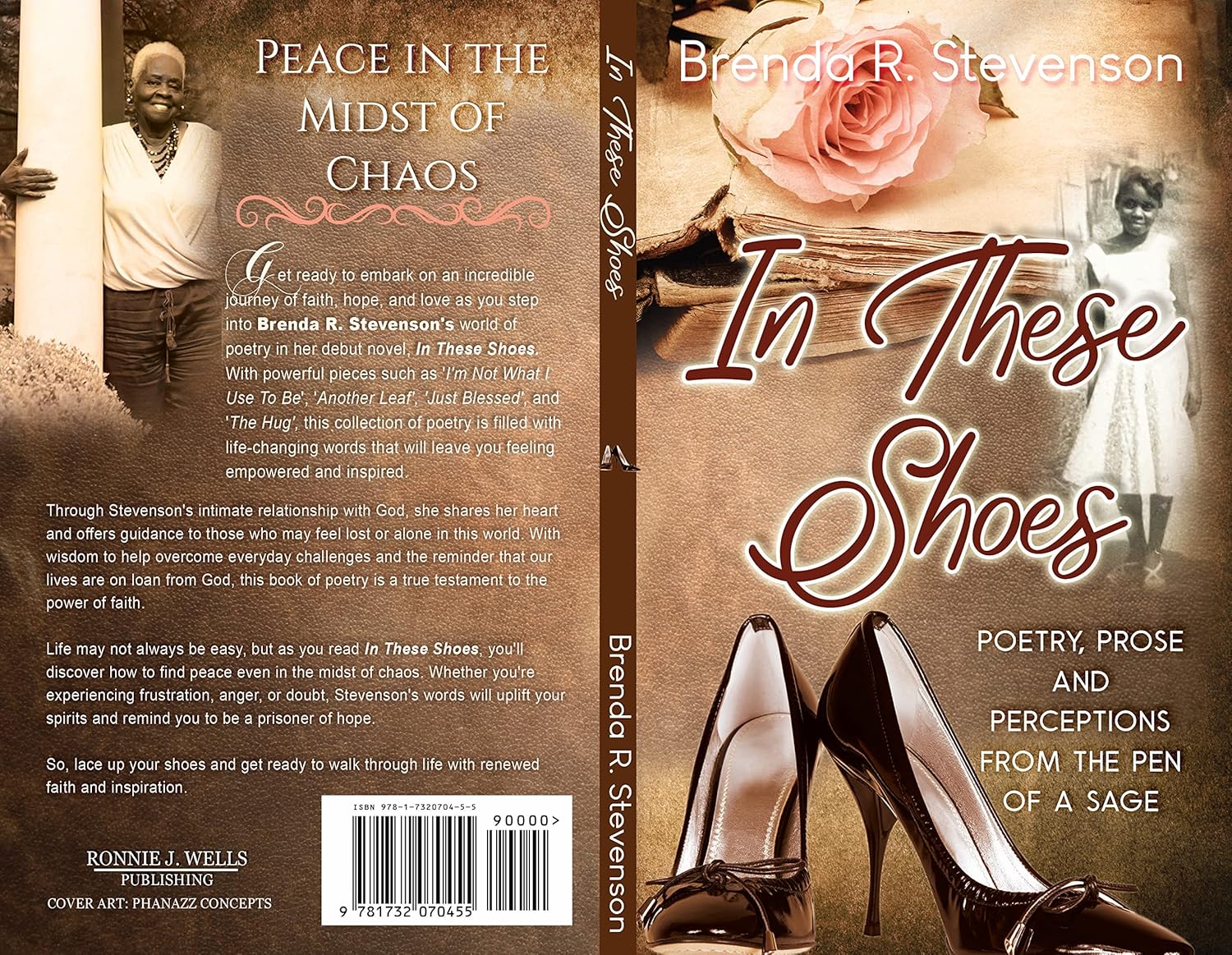 In These Shoes. Poetry Prose and Perceptions from the pen of a sage ...