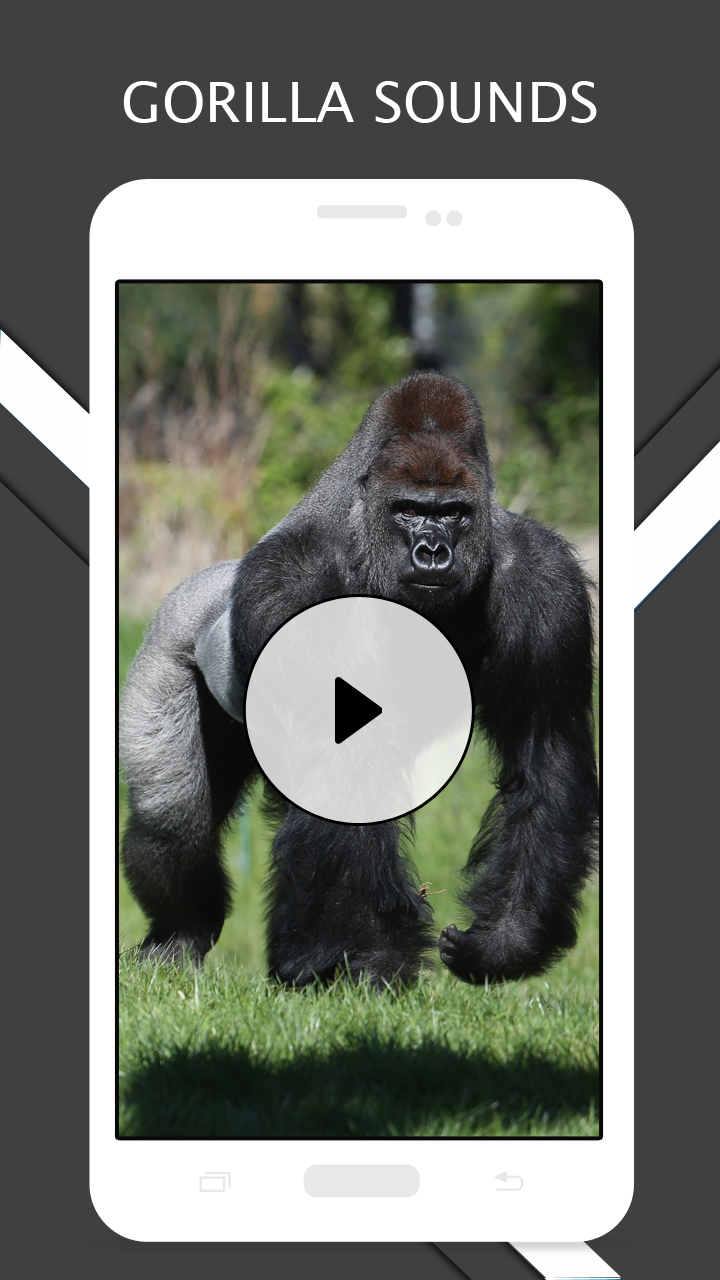 Gorilla Sounds - Application sur Amazon Appstore