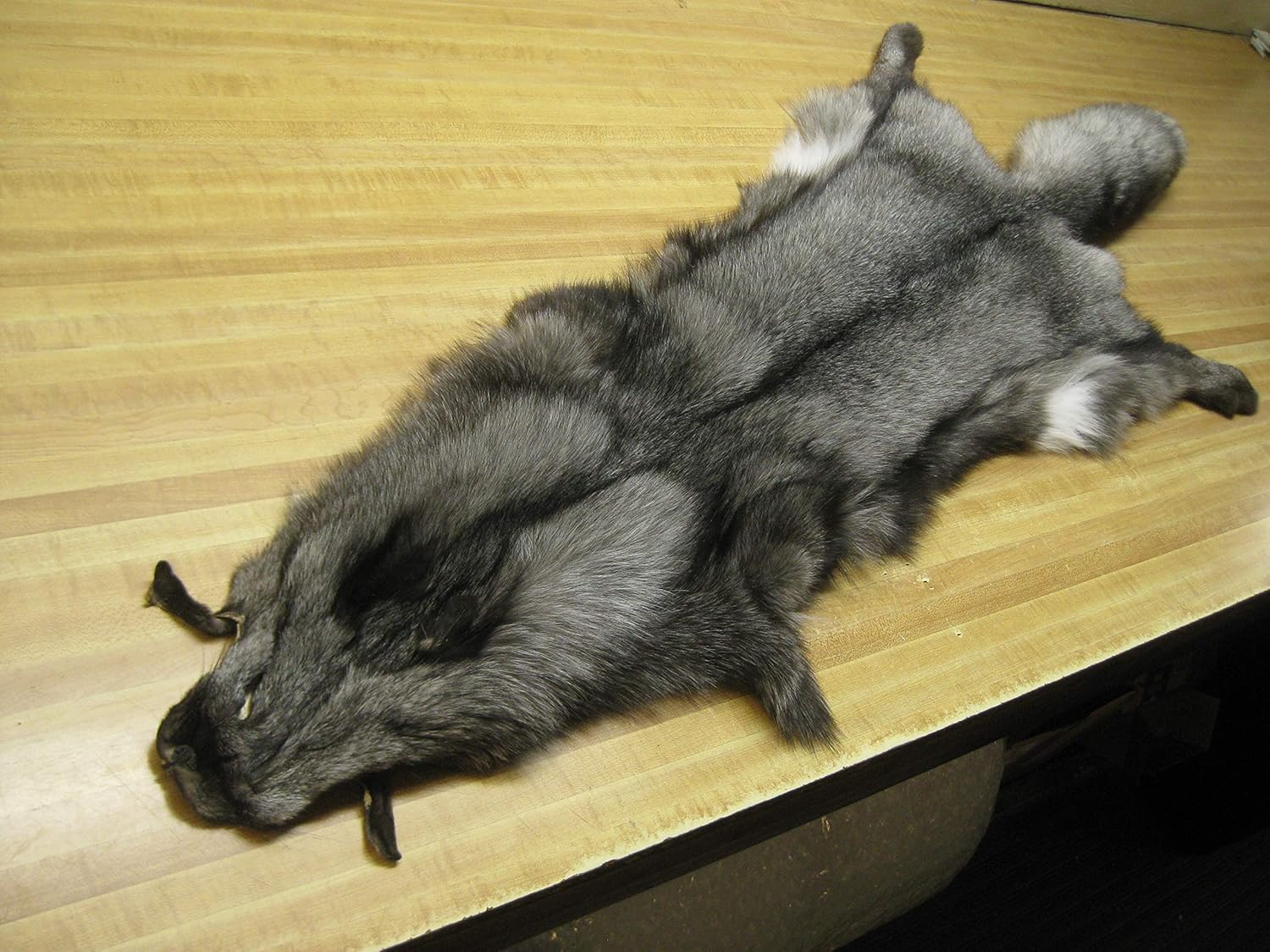 Amazon.com: Blue Frost Fox # 1 Quality Heavy Fur