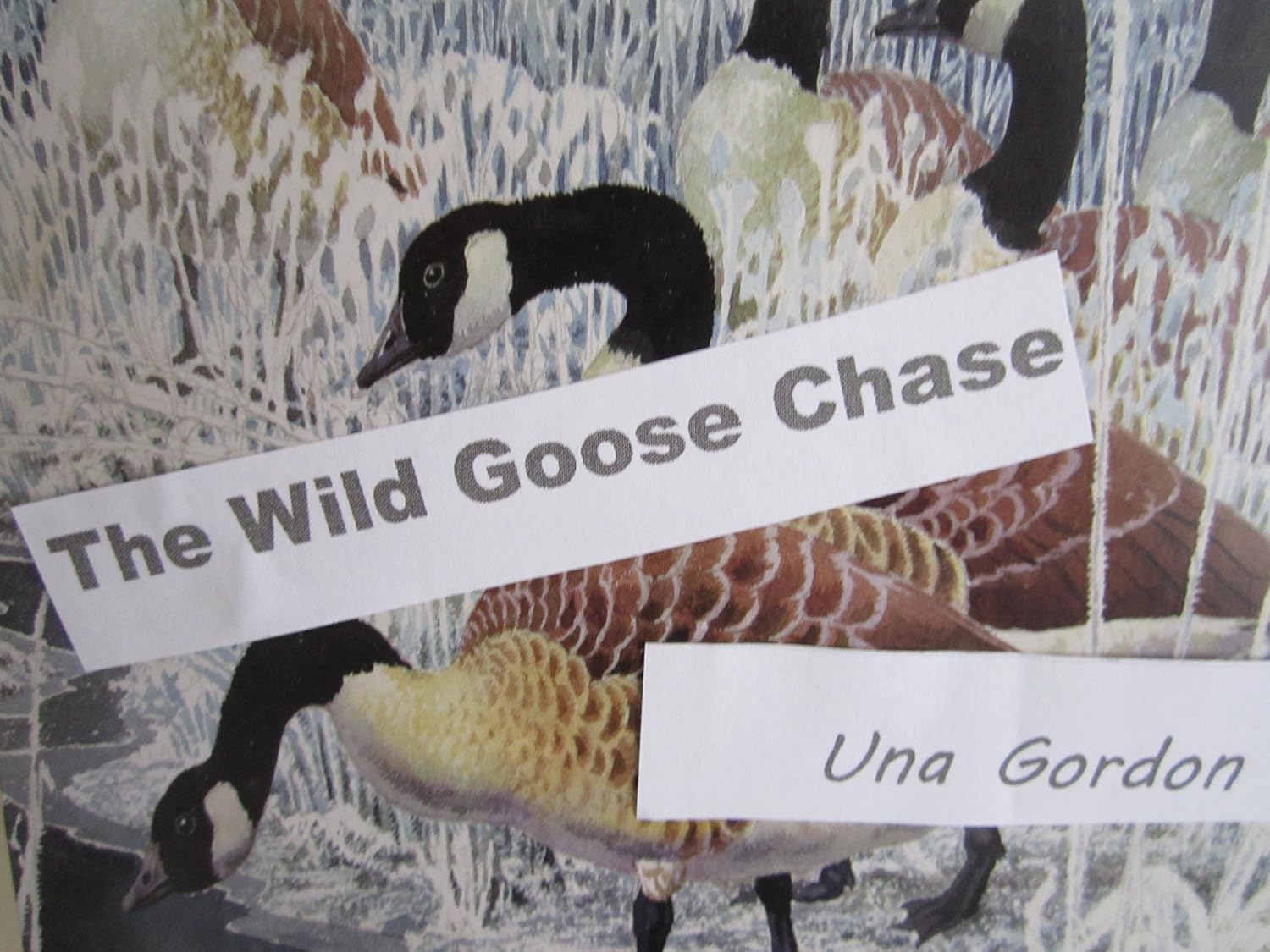 Amazon.com: The Wild Goose Chase (Inspector Quinn Mysteries Book 5 ...