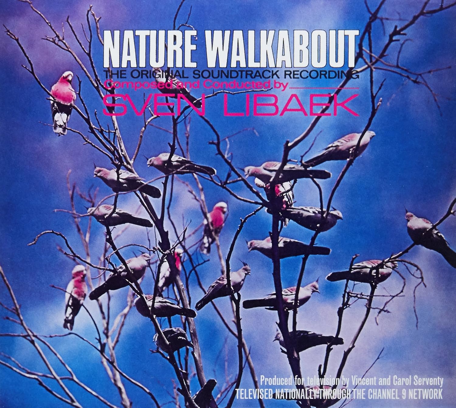Nature Walk: Amazon.co.uk: CDs & Vinyl