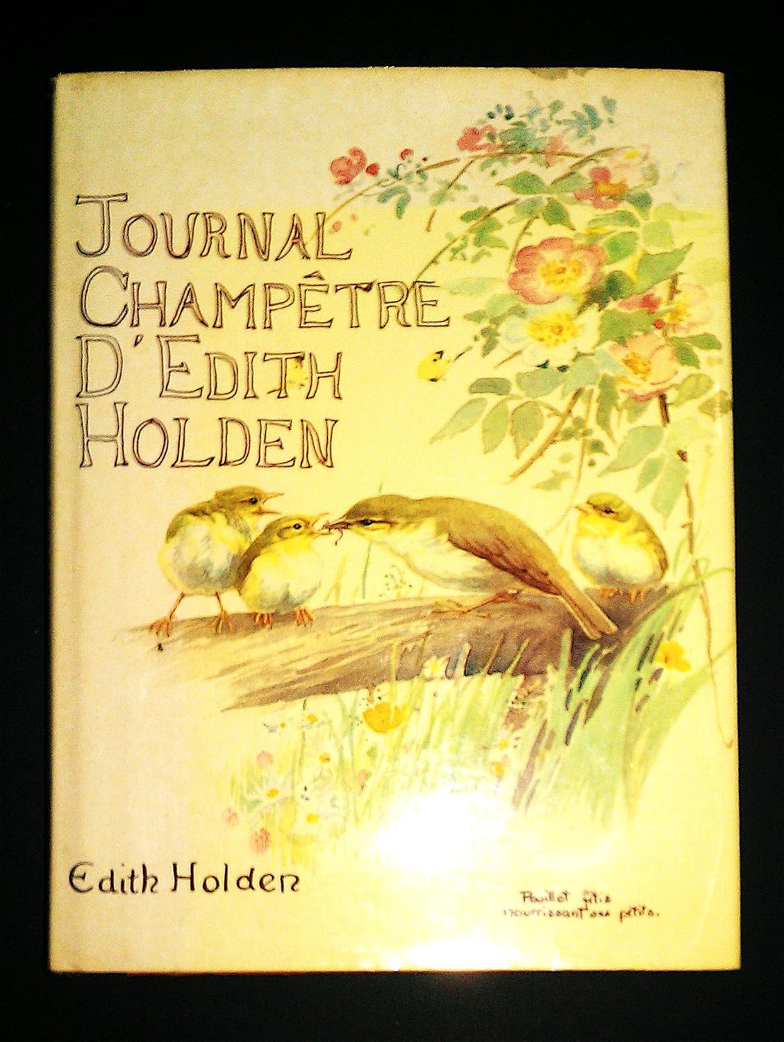 Amazon.com: Journal champêtre d'Edith Holden: 9782724213690: E Holden ...