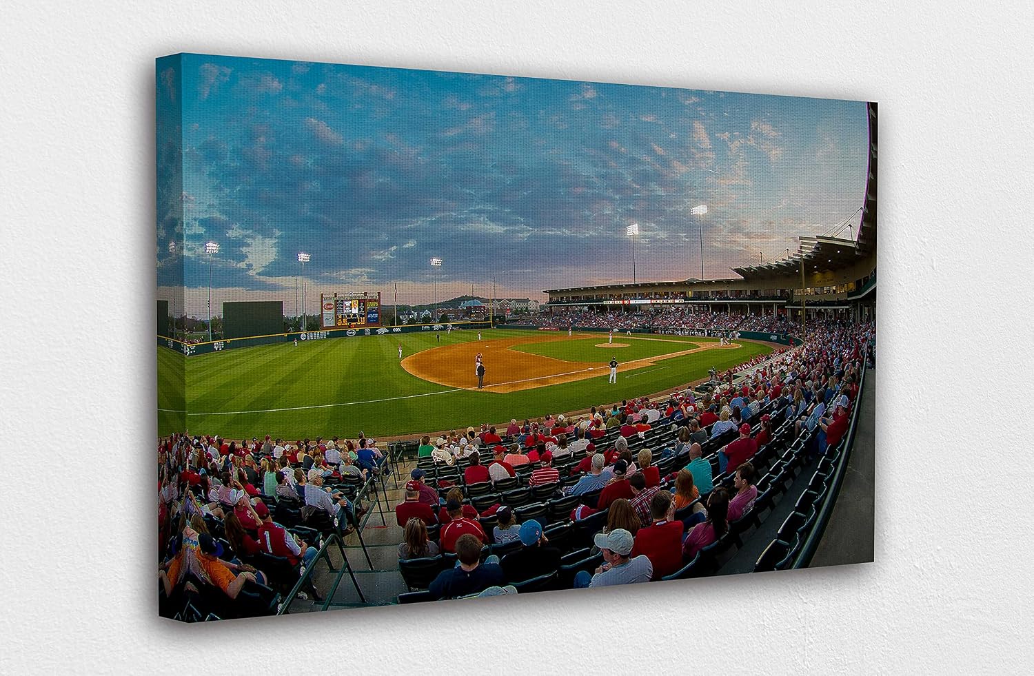 Amazon.com: Diuangfoong Baum Stadium Crowd Canvas Wall Art Design ...