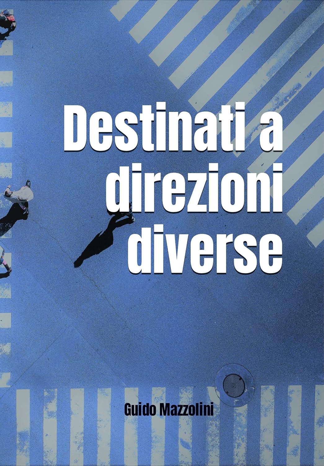 Destinati a direzioni diverse (Italian Edition) eBook : Mazzolini ...