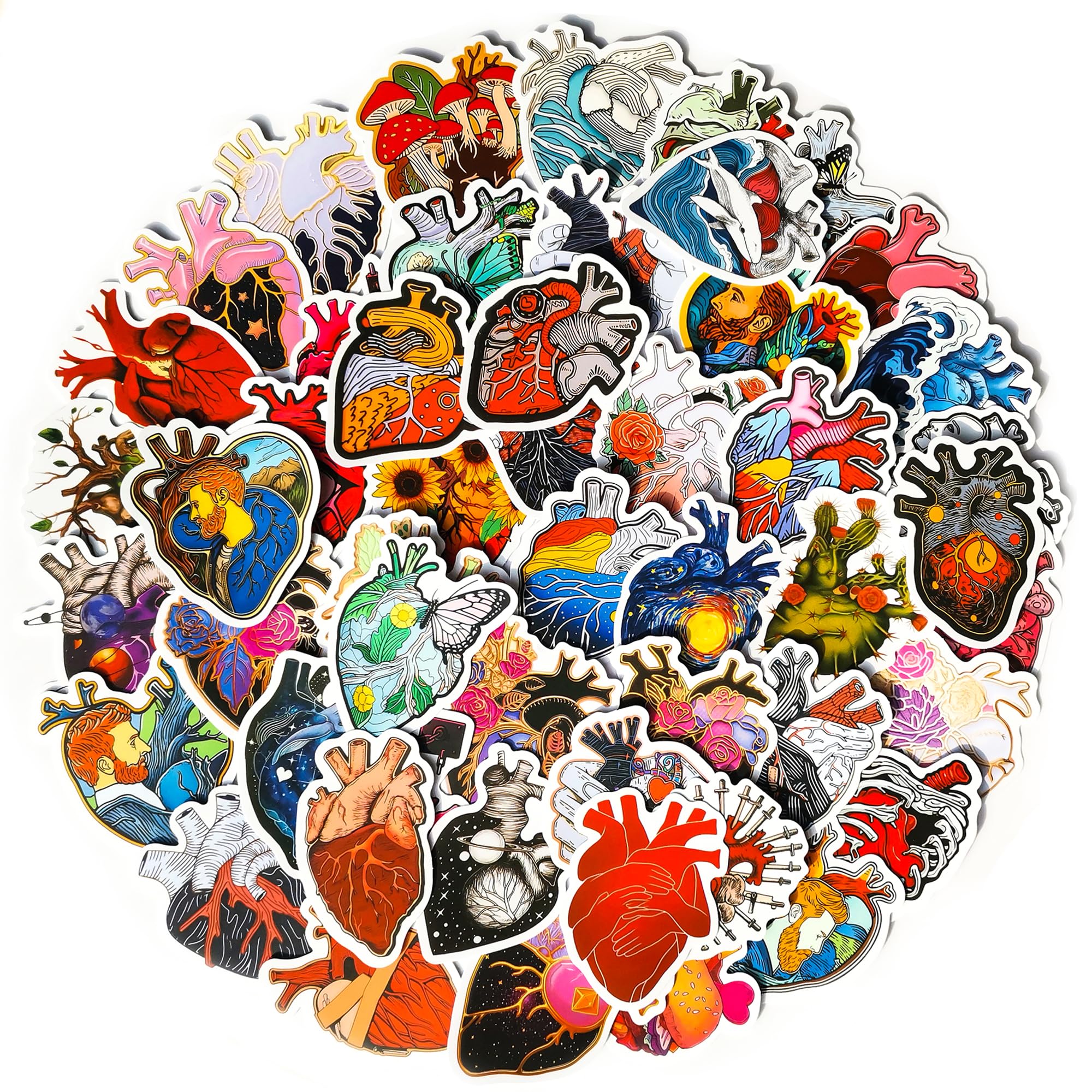 Amazon.com: Yoksas 52Pcs Anatomical Heart Artistic Stickers ...
