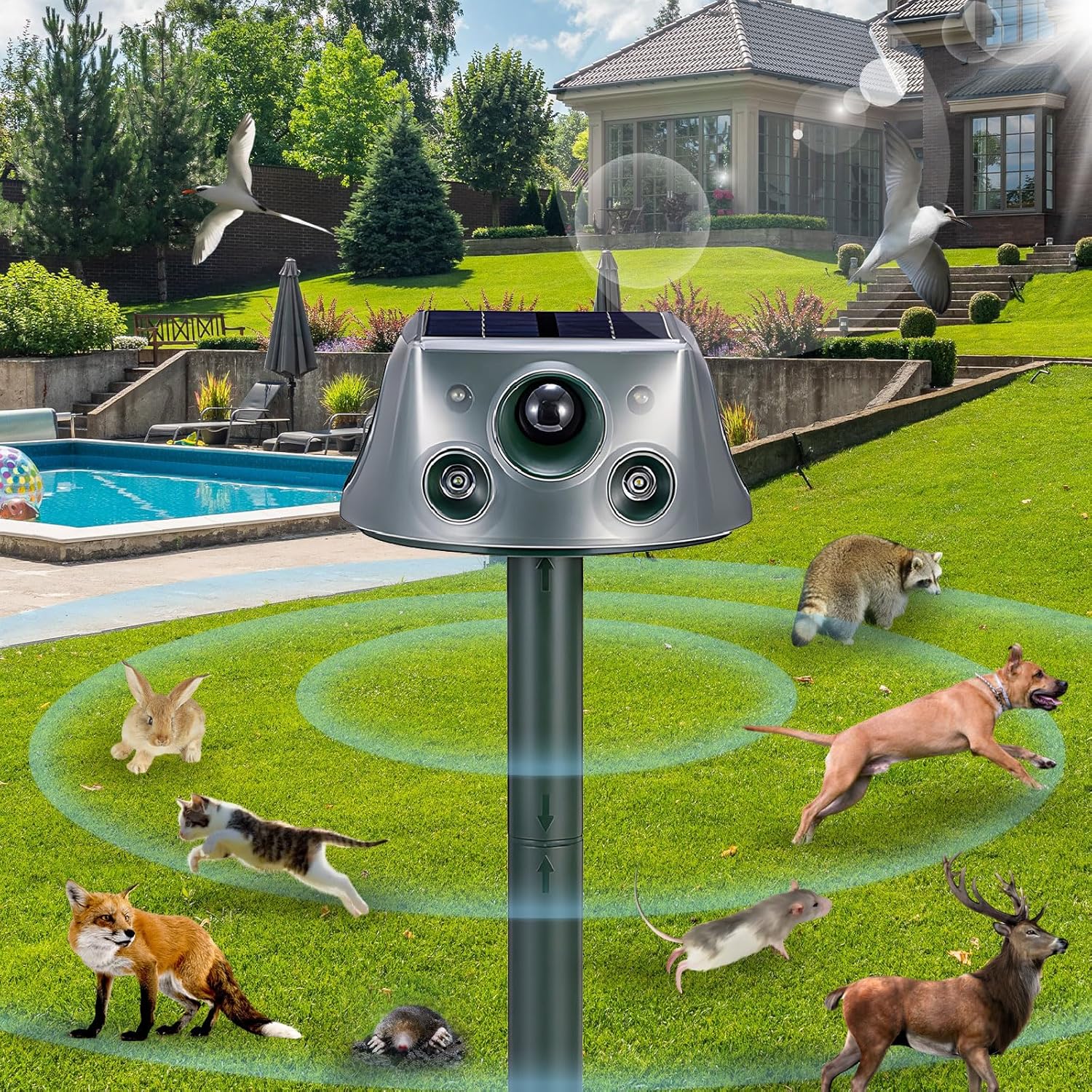 Amazon.com: Ultrasonic Solar Animal Repeller for Yard, 6 Modes Outdoor ...