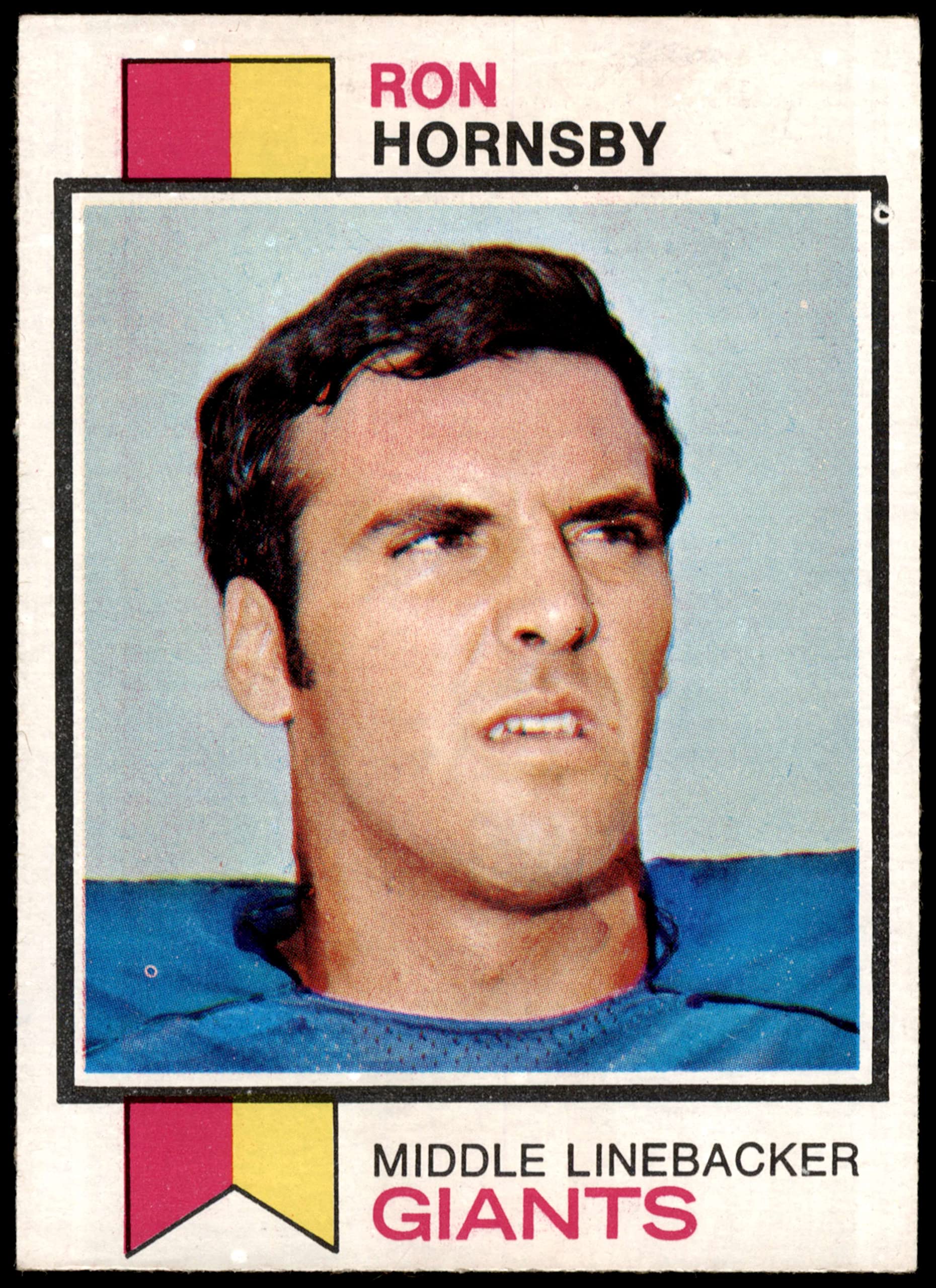 Ron Hornsby's Instagram, Twitter & Facebook on IDCrawl