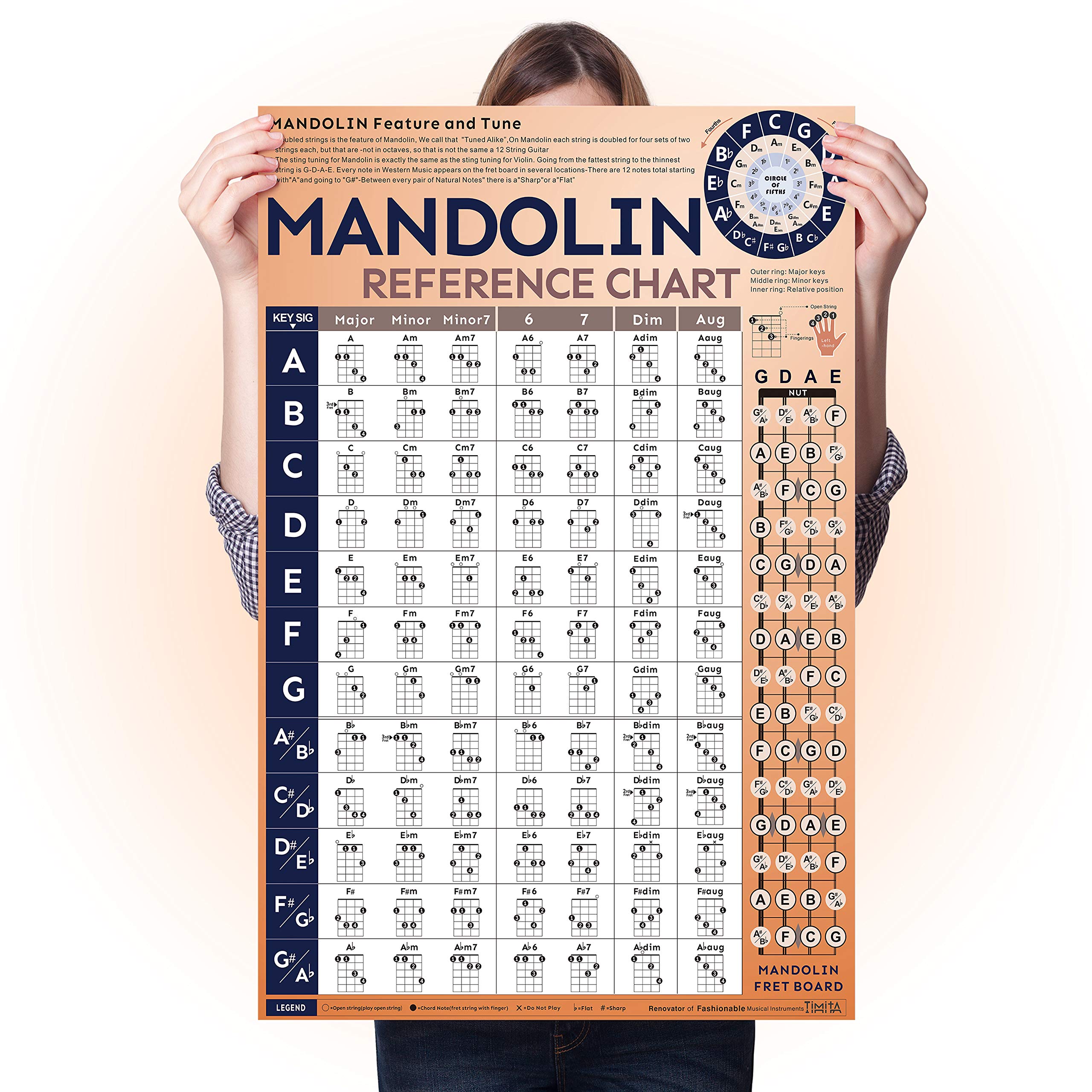 Buy Mandolin Chords Chart of Popular Chords, Mandolin Instrument ...
