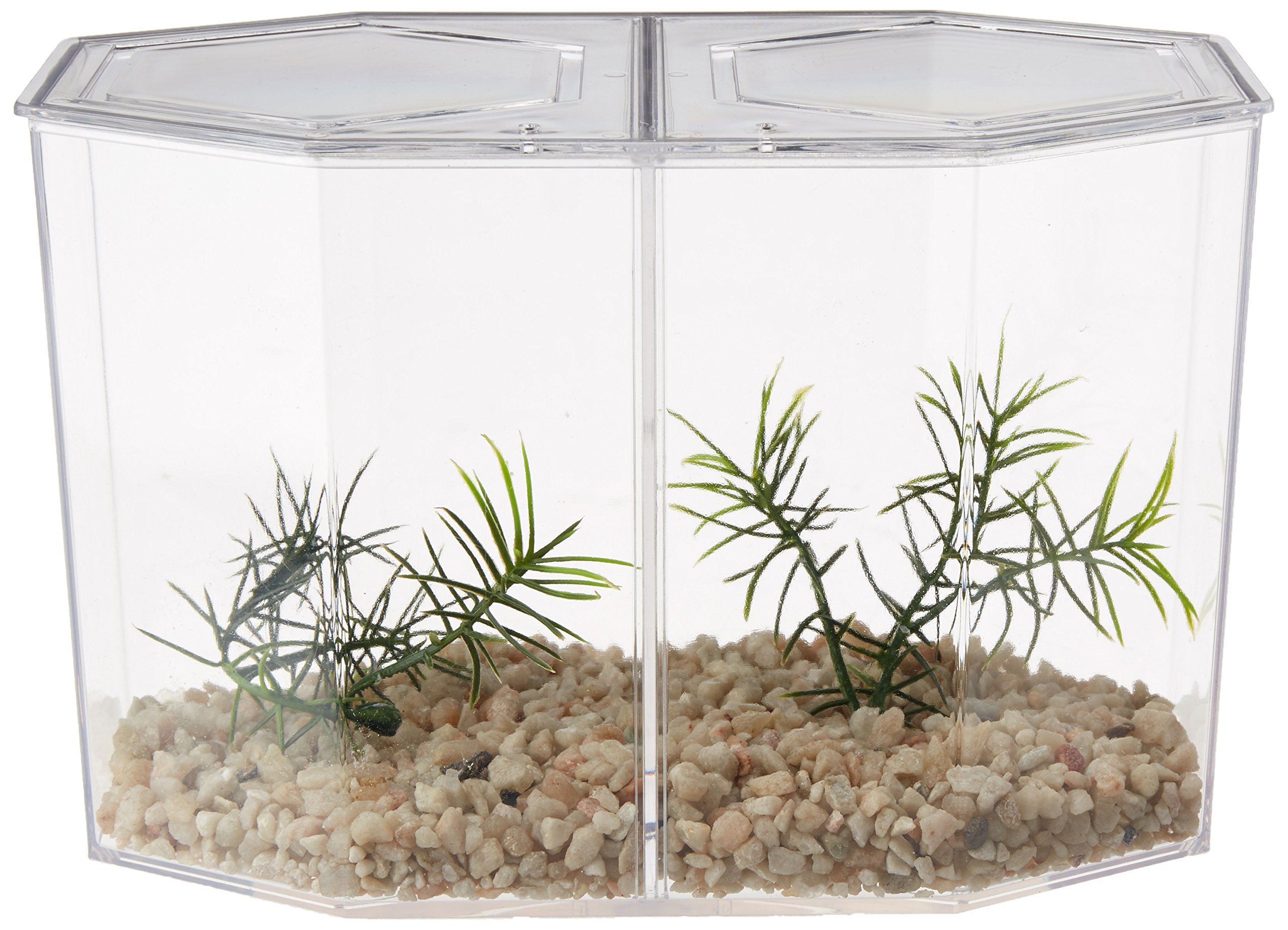 Amazon.com : Lee's Betta Keeper Large w/Lid, Gravel and Plant : Fish ...