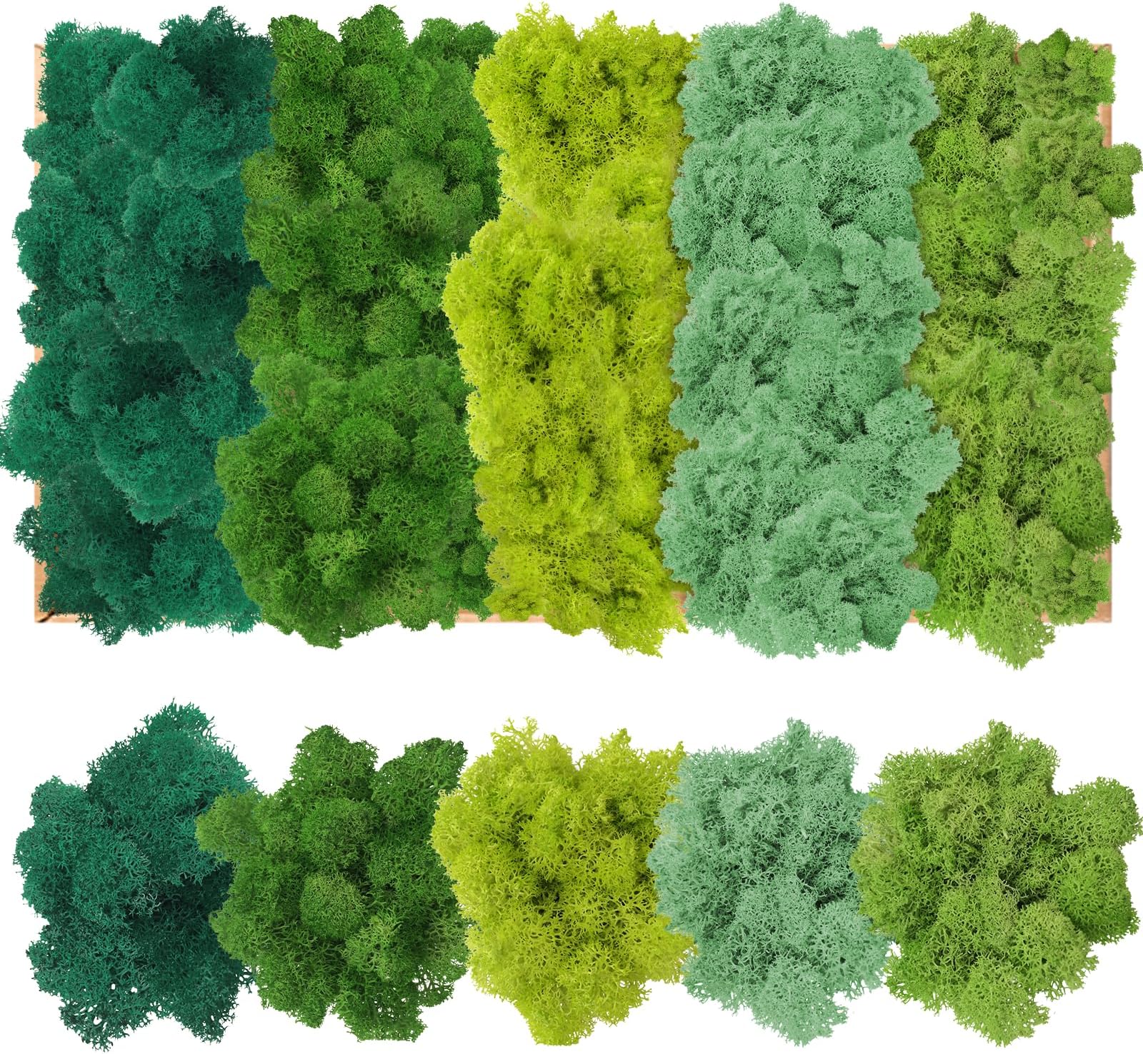 Mousse de Renne, Mousse Préservée, Mousse Artificielle Décoration ...