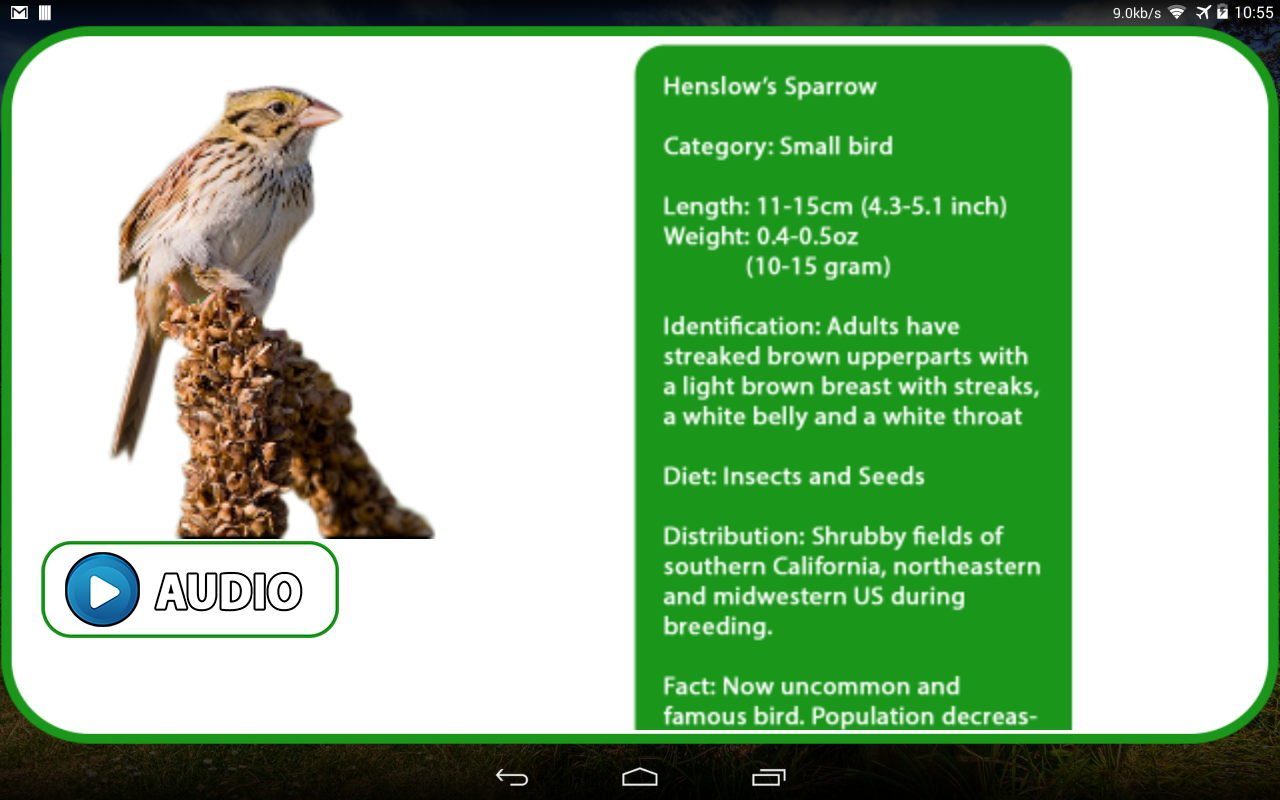 Kids Learn Birds - App on Amazon Appstore