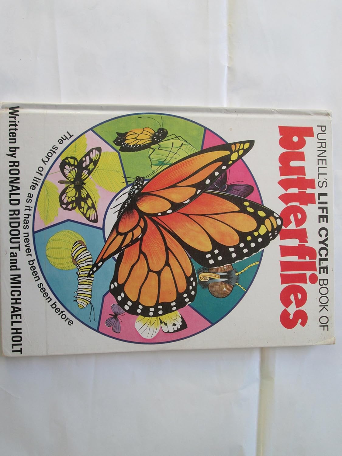 Purnell's life cycle book of butterflies: Ronald Ridout: 9780361027854 ...