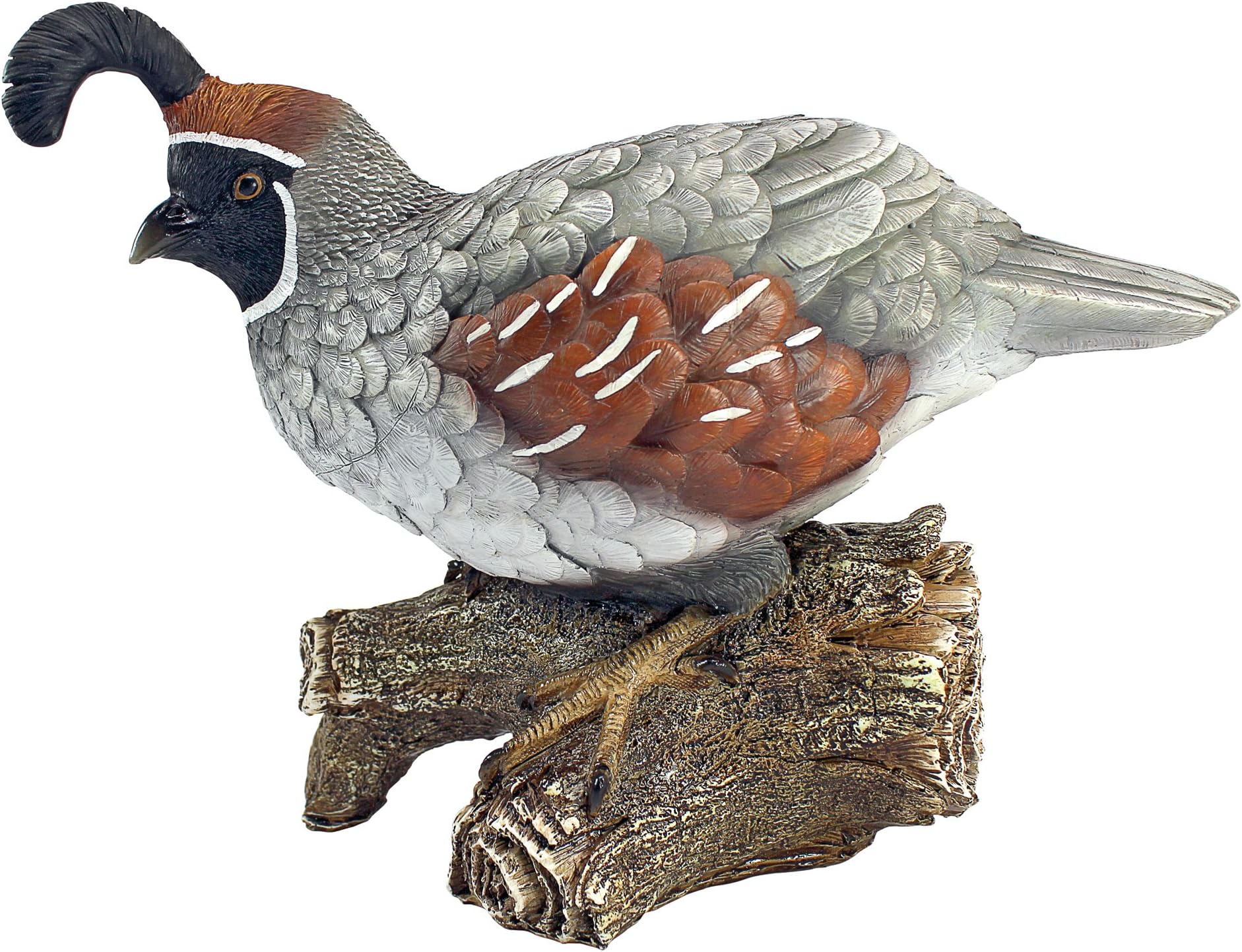 Amazon.com: LITTLE CRITTERZ Bird California Quail Valley - Multicolor ...