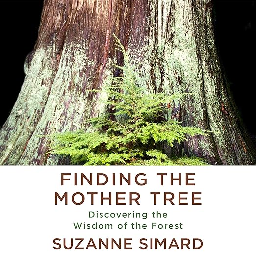 Amazon.com: Finding the Mother Tree: Discovering the Wisdom of the ...