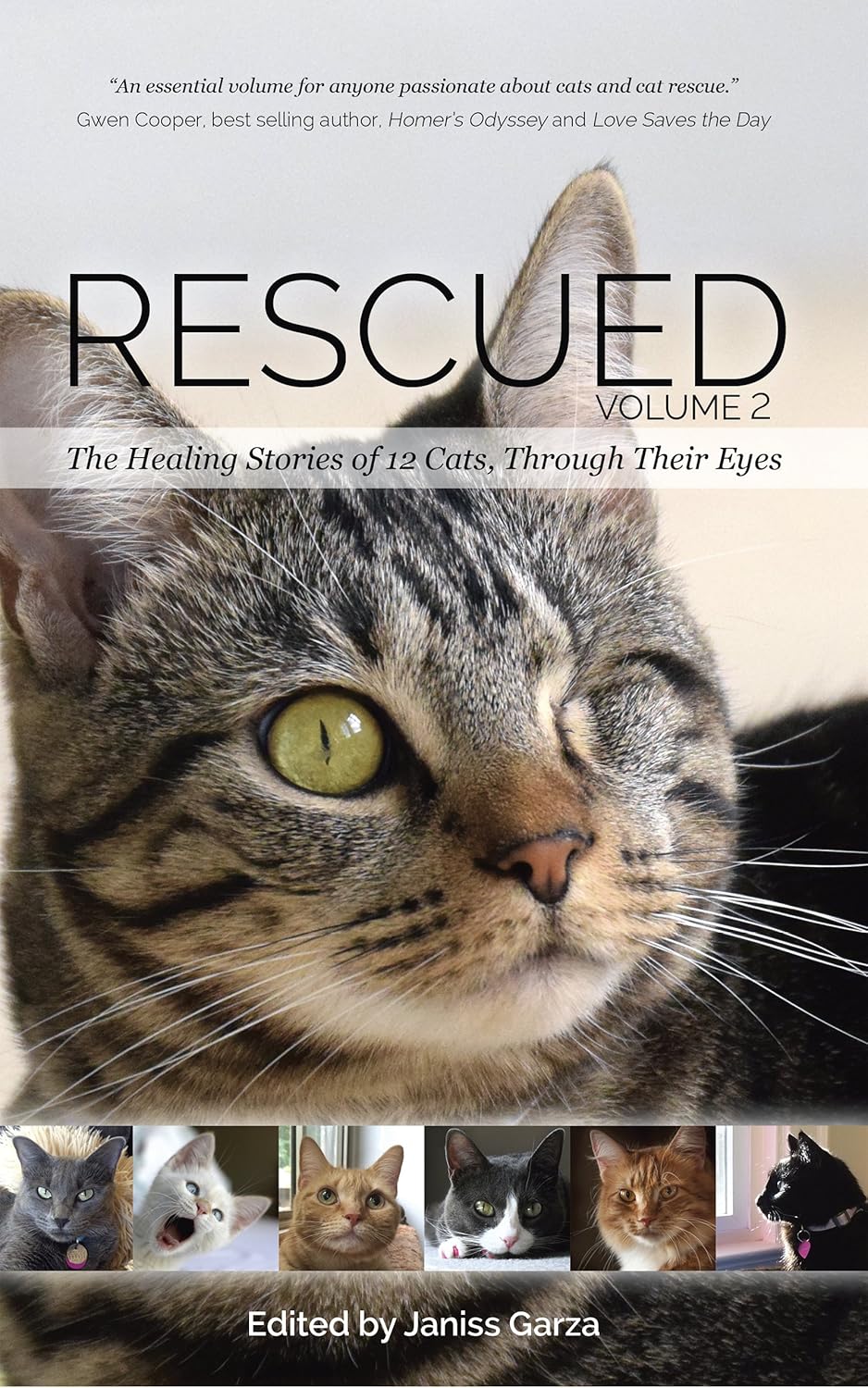 Rescued Volume 2 The Healing Stories Of 12 Cats Through Their Eyes